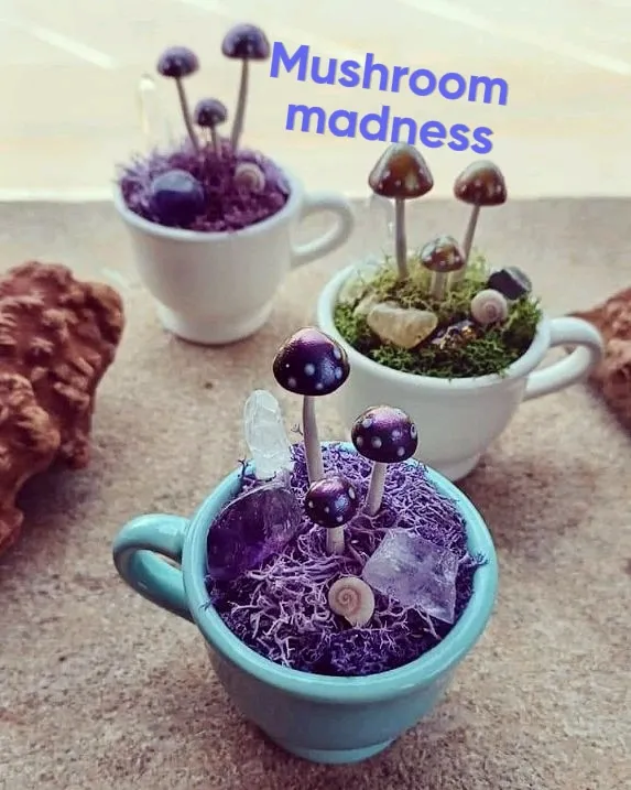 Mushroom madness | Gallery posted by Freya Forest | Lemon8