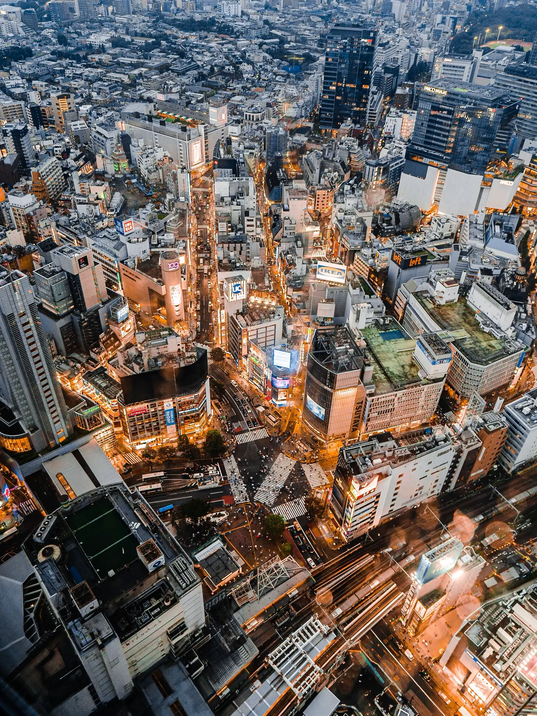 ごちゃごちゃな写真の世界！ | ebi_timesが投稿したフォトブック | Lemon8