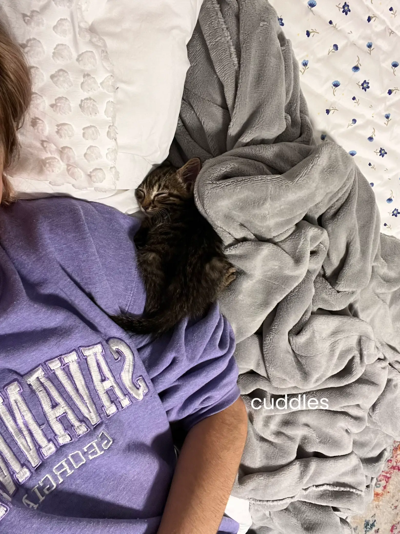 first time kitten mom | Gallery posted by katie wakefield | Lemon8