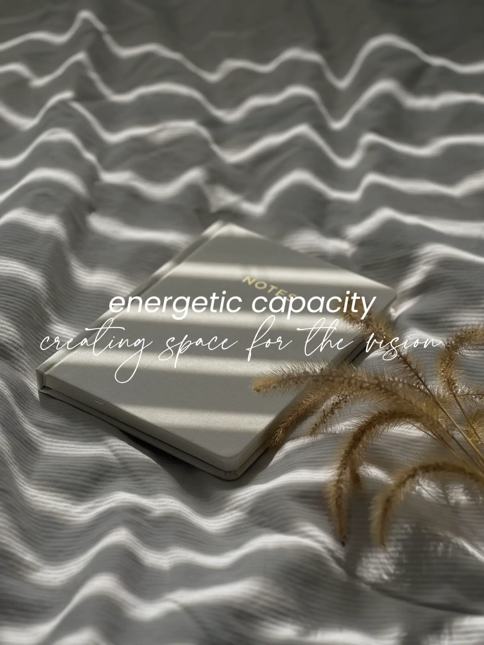 energetic capacity | Gallery posted by christy | Lemon8