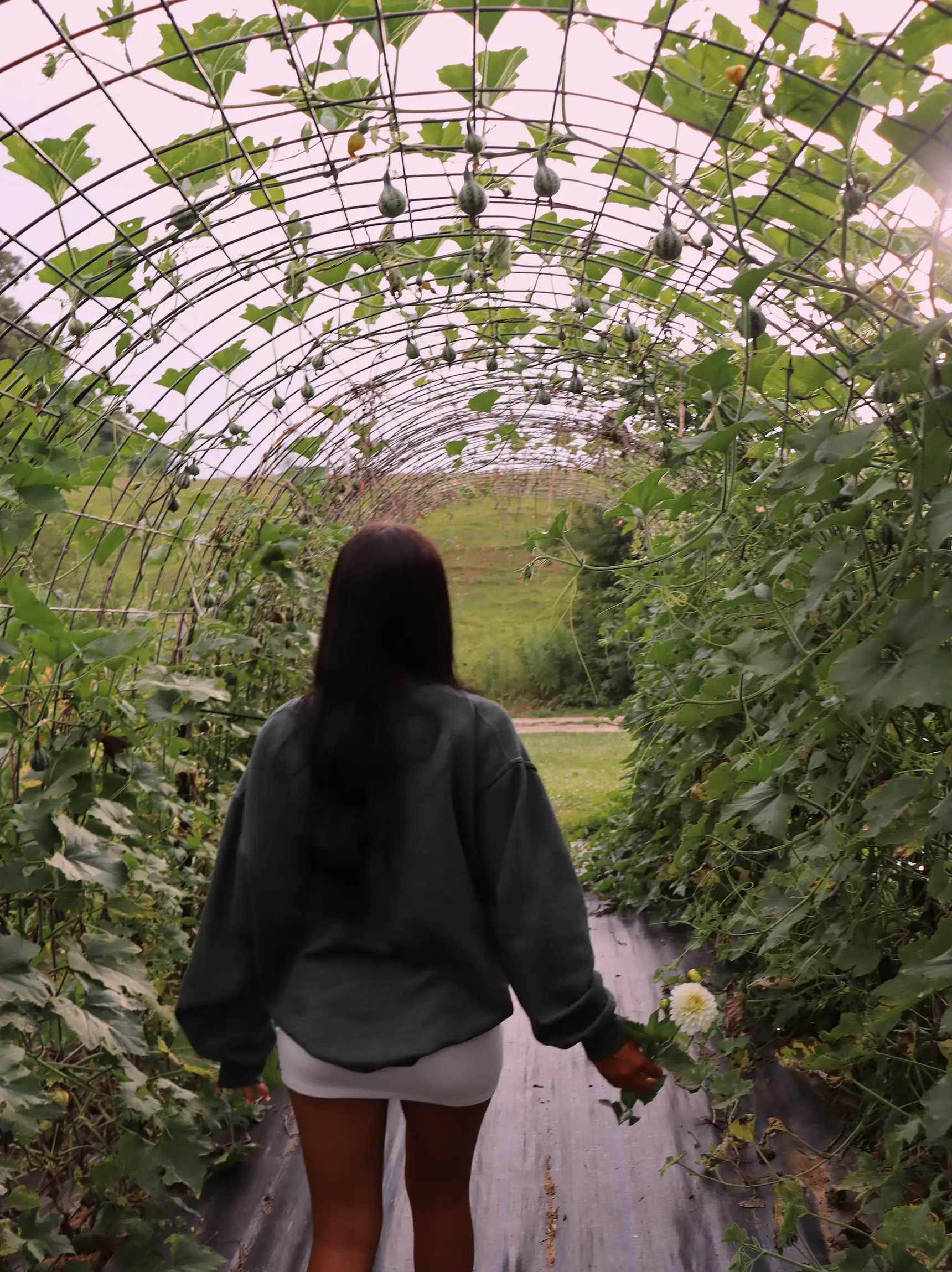 aubreecates posted a contribut | Gallery posted by Aubree Cates | Lemon8