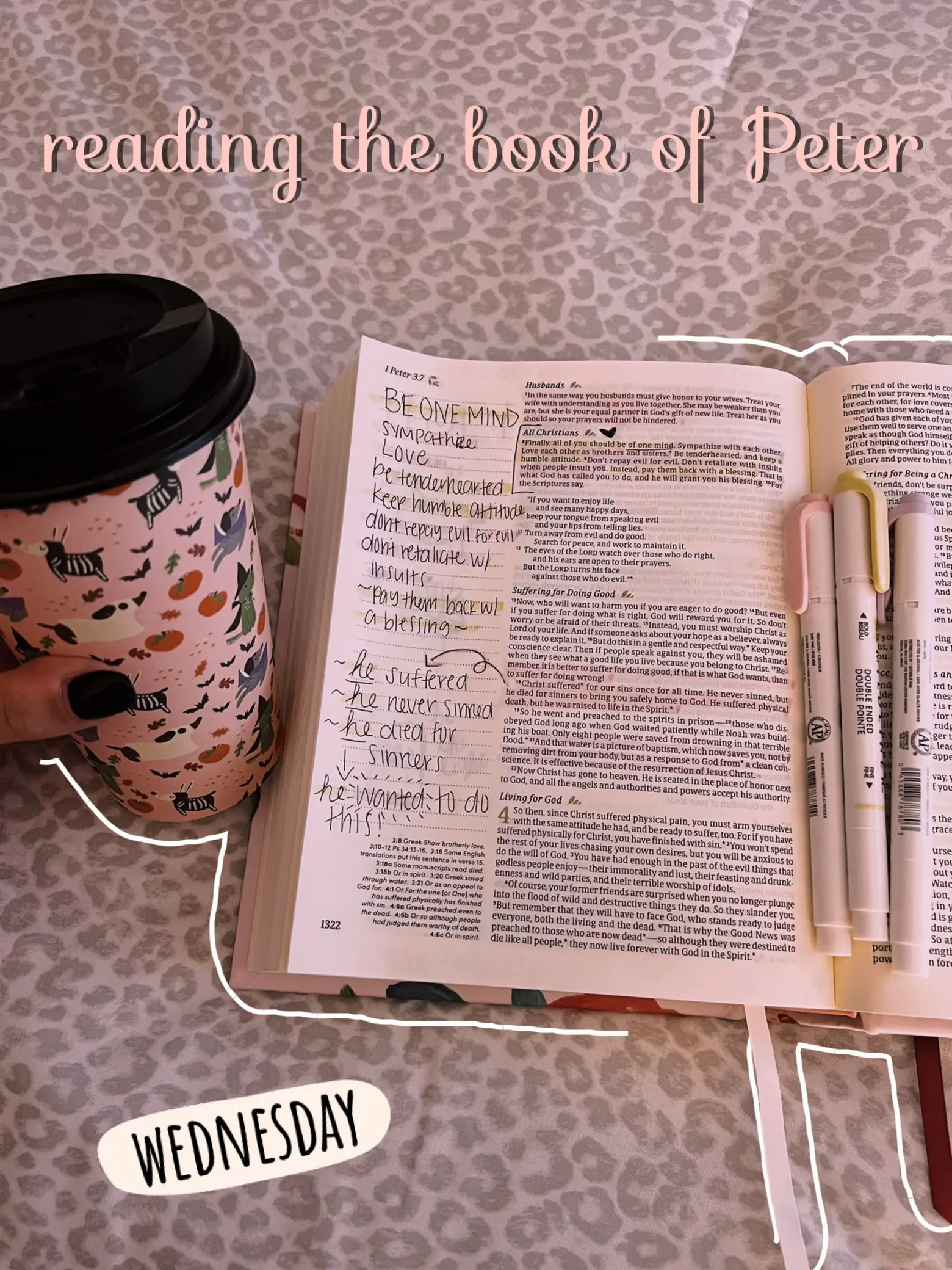 reading the first book of Peter🤍 | kayla💌🍰☕️🪞が投稿したフォトブック | Lemon8