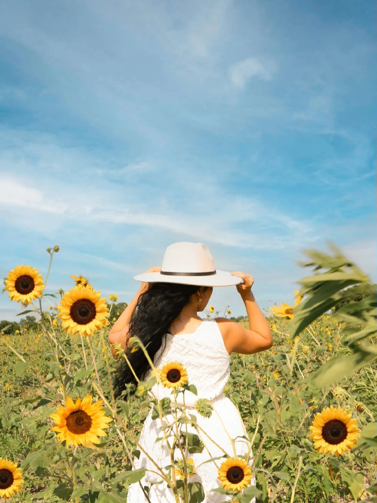 Sunflowers pic 🌻🤩 | Gallery posted by Mar Villegas | Lemon8