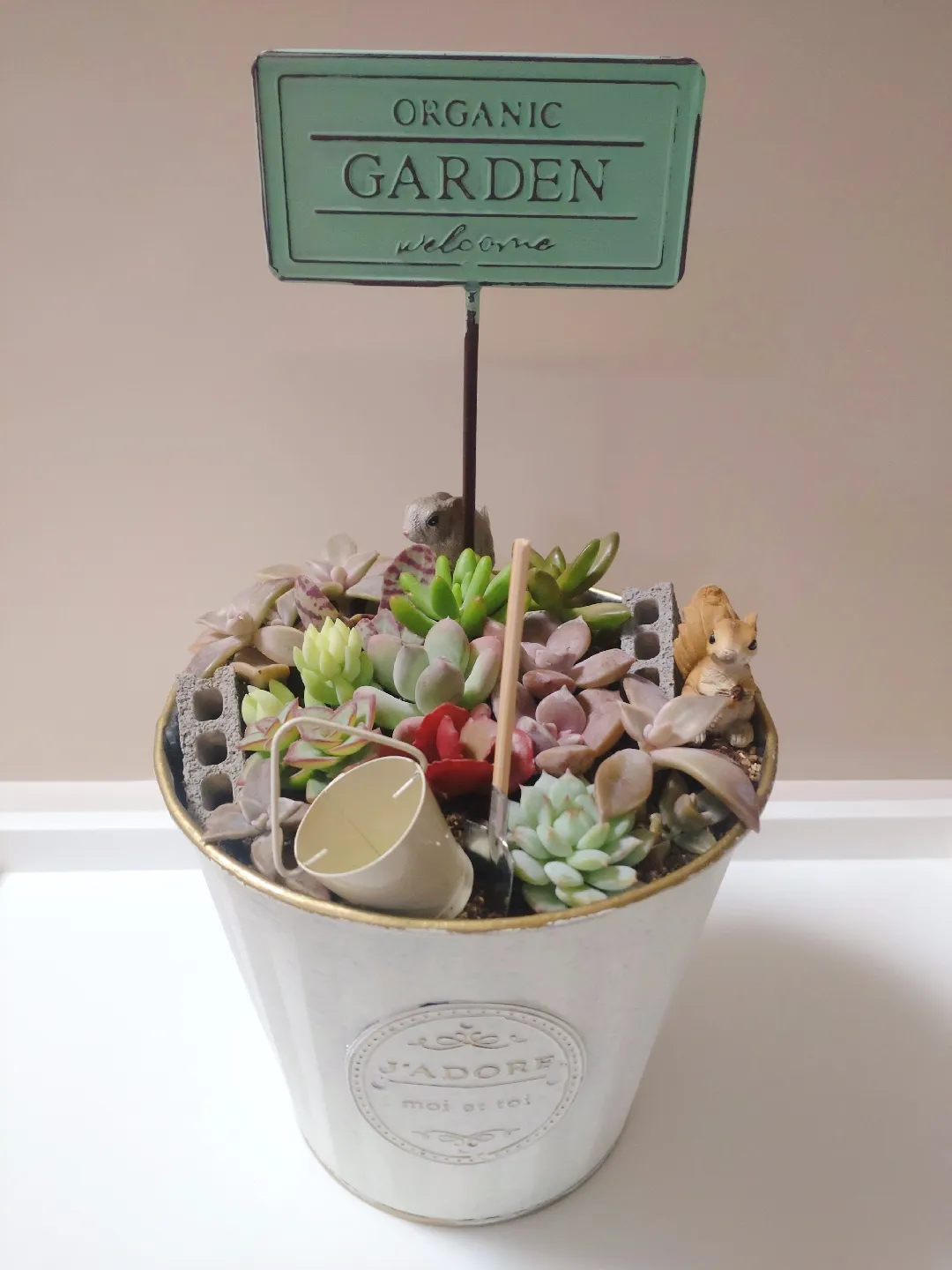 多肉植物🪴 寄せ植え 小物をプラス | Gallery posted by hiro 1972 | Lemon8