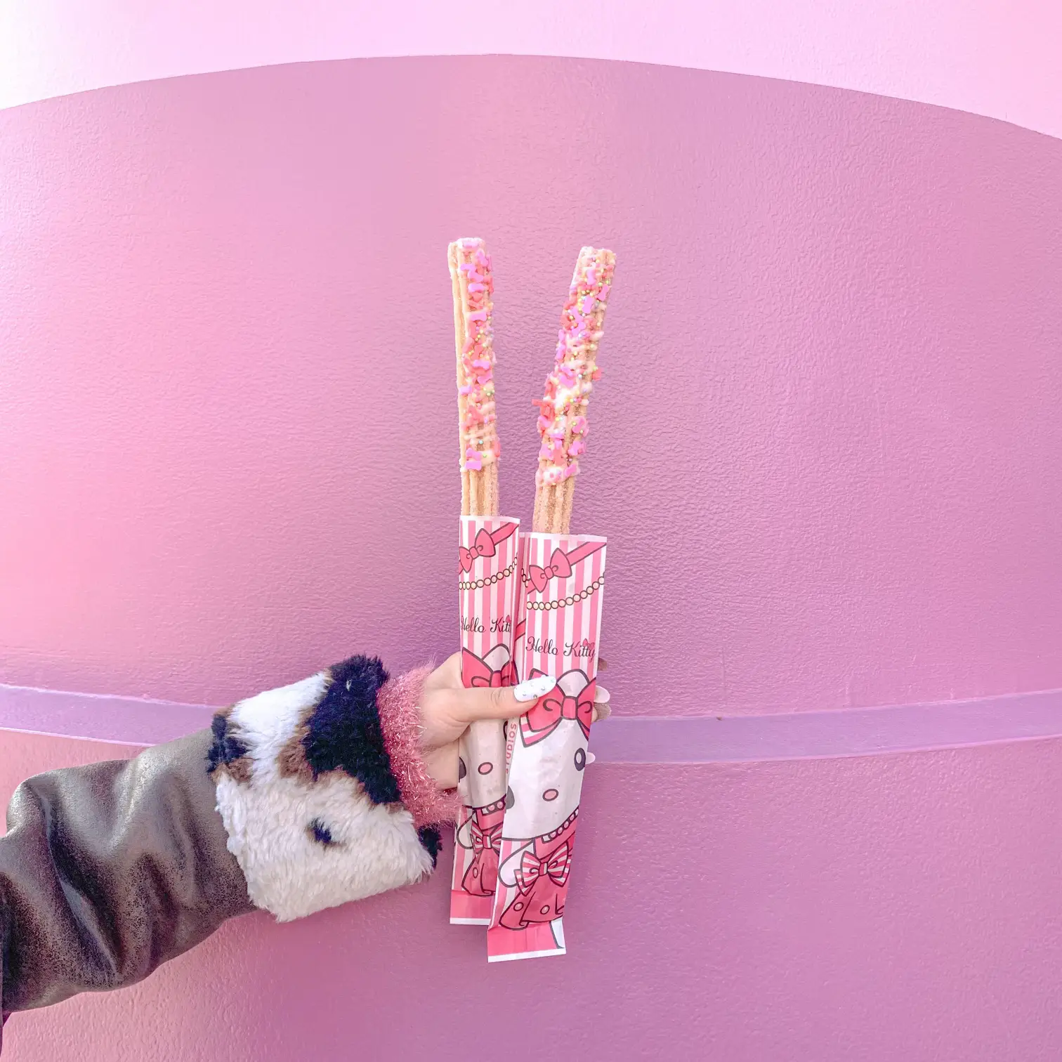 [📍 Osaka / Universal City] Univa recommended cute churros | Gallery ...