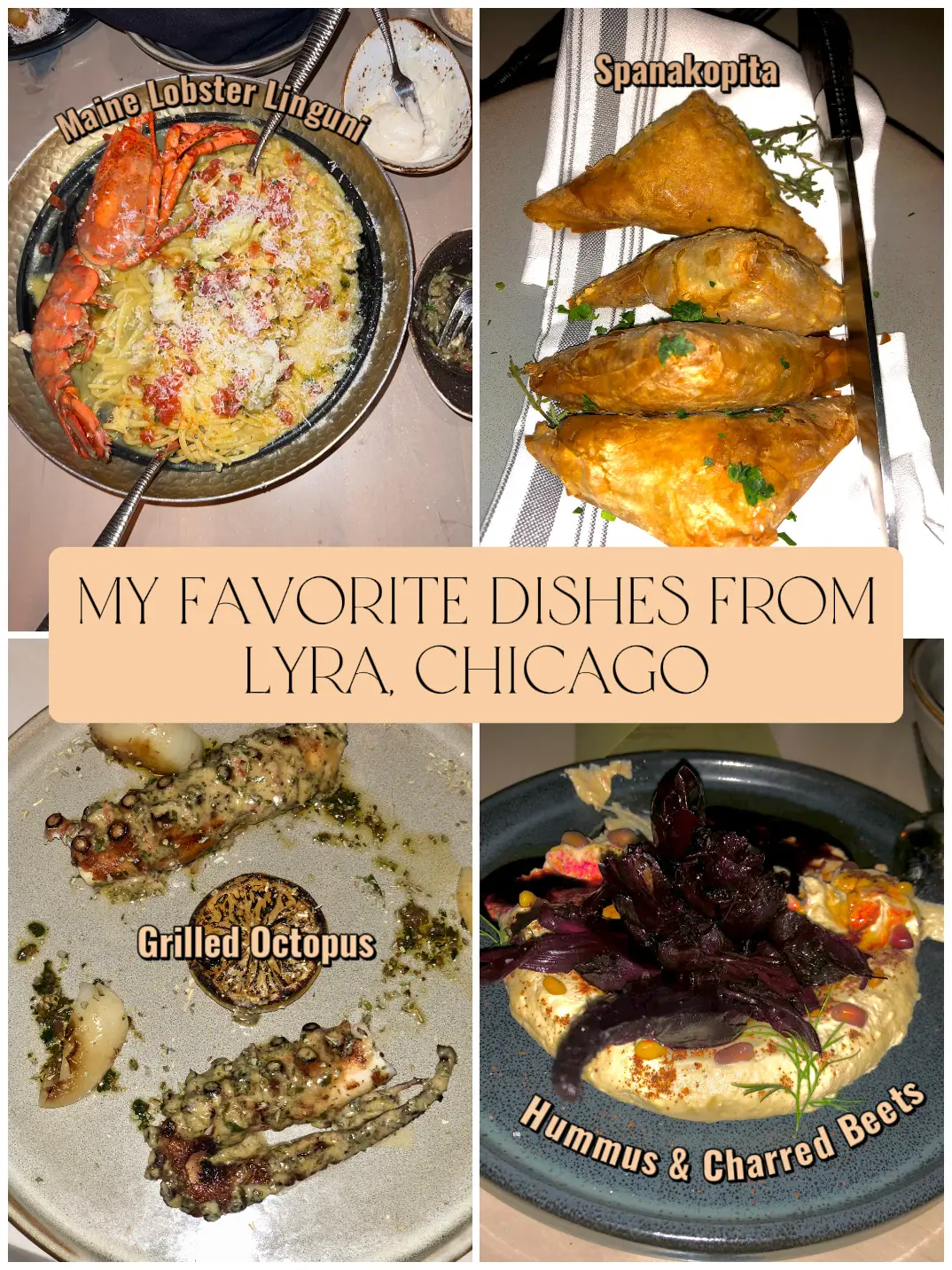 Amazing Greek Food Chicago: Lyra | Gallery posted by Blair | Lemon8