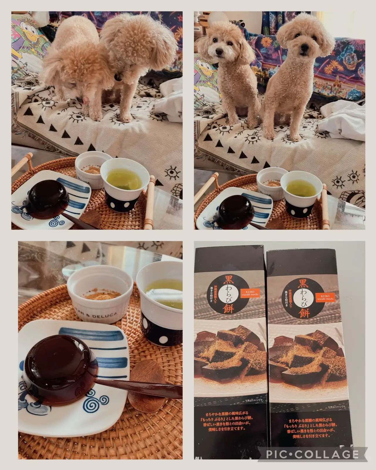 幸せな時間 | totoが投稿したフォトブック | Lemon8