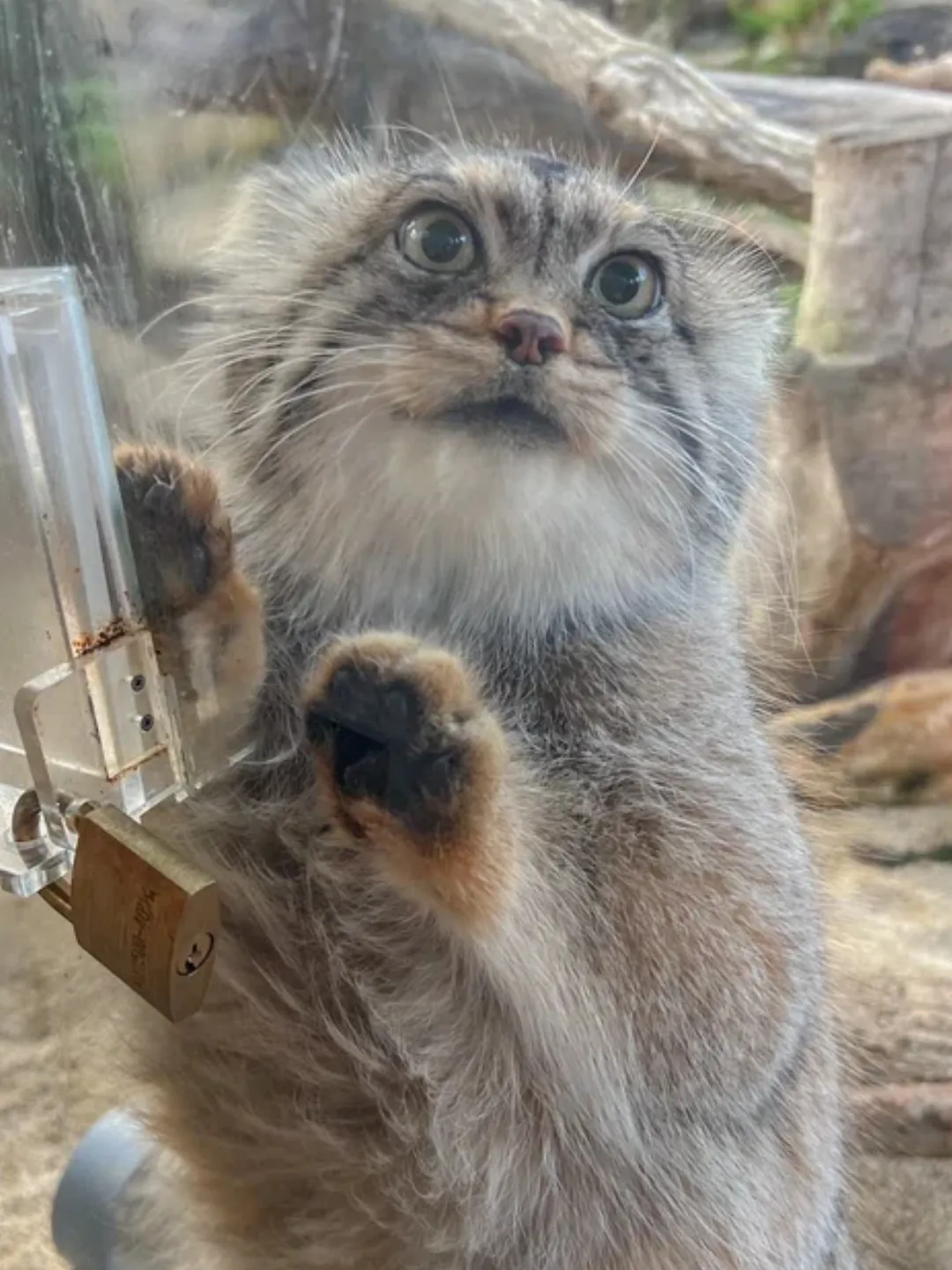 mori630がコンテンツを投稿しました。確認しましょう！ | mONkunが投稿したフォトブック | Lemon8