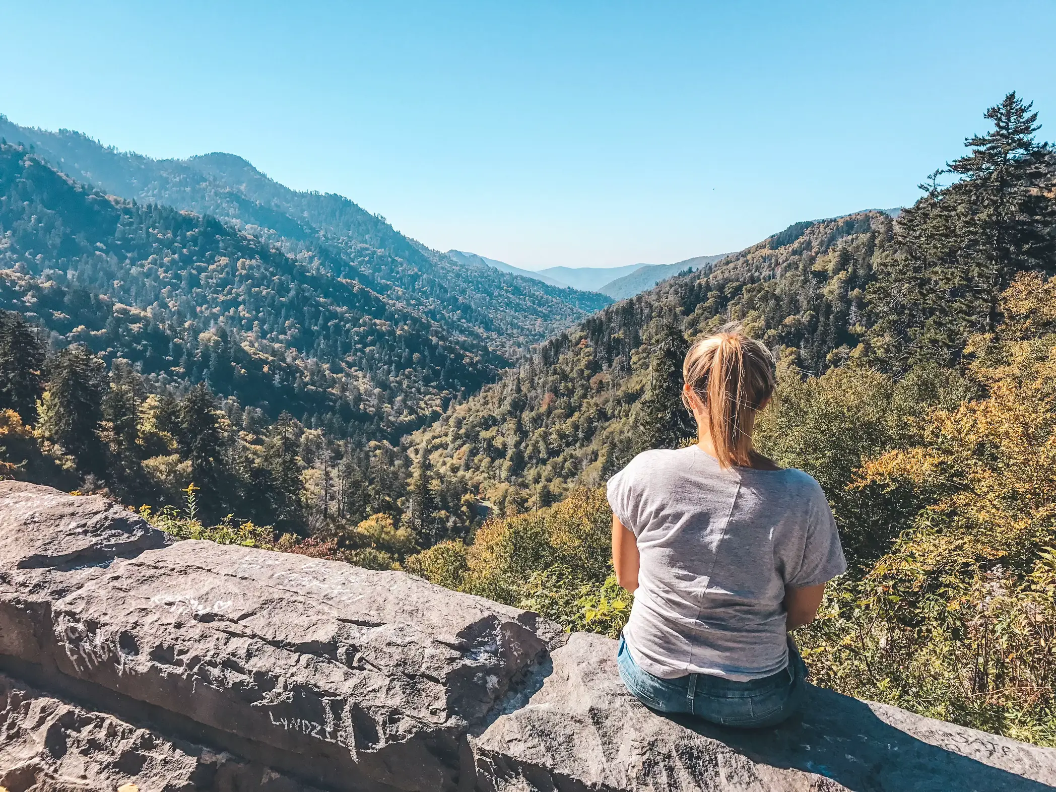 Clingman’s Dome | Gallery posted by Sarah Robinette | Lemon8