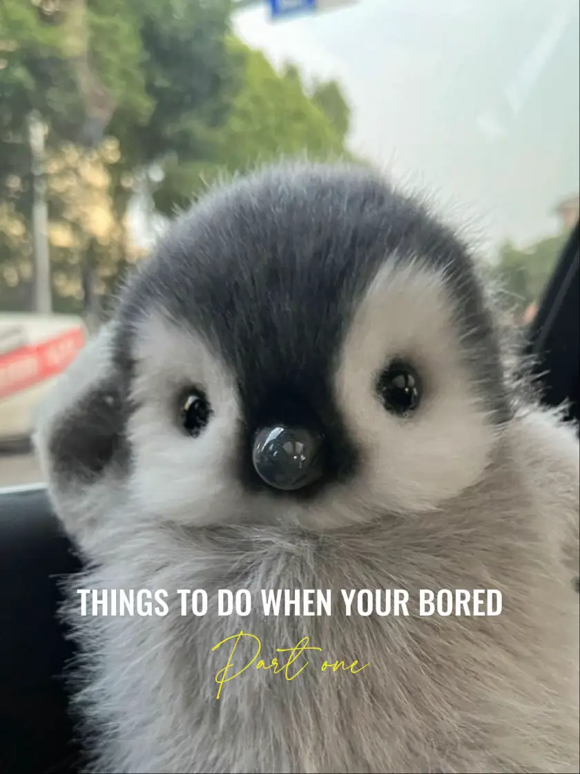 Things to do when you’re bored! | Gallery posted by mel | Lemon8