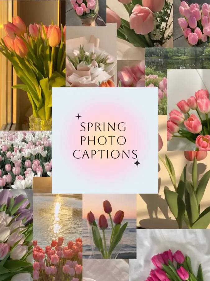 spring photo captions | Gallery posted by mili! | Lemon8