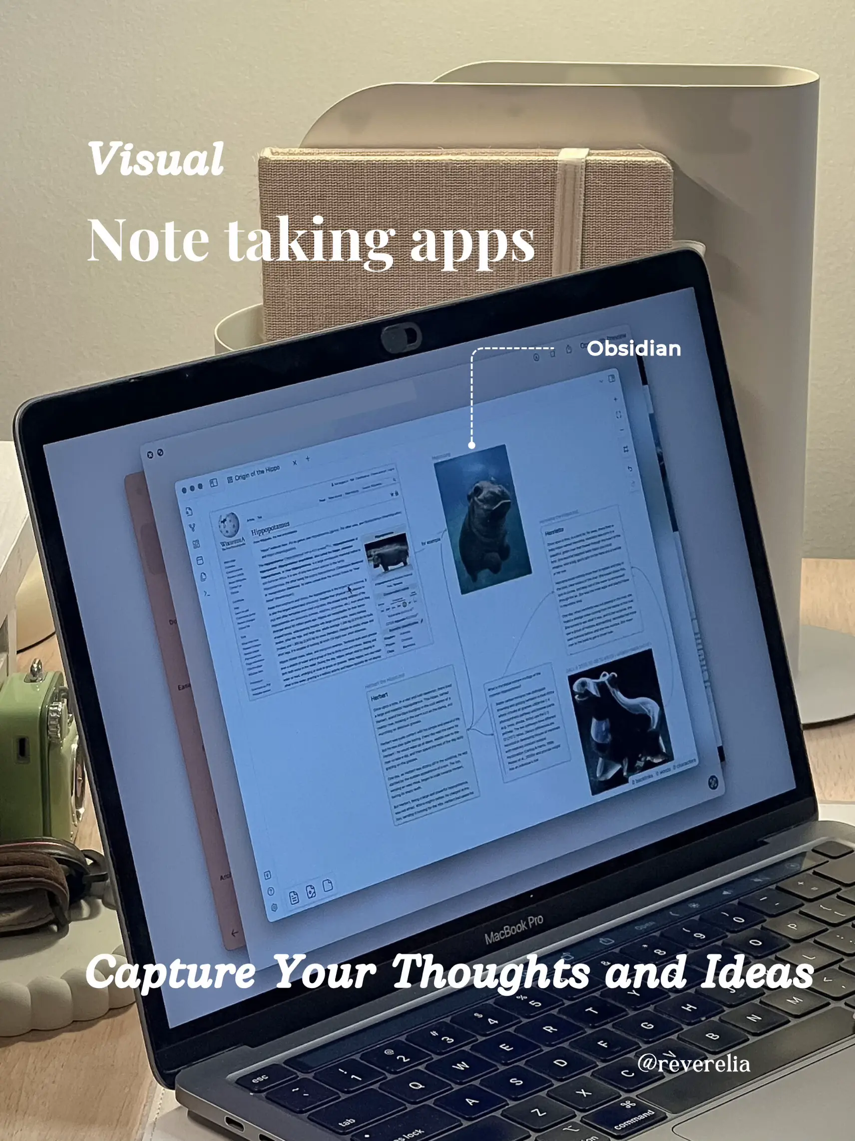 Visual Note taking apps | Gallery posted by Reverelia | Lemon8