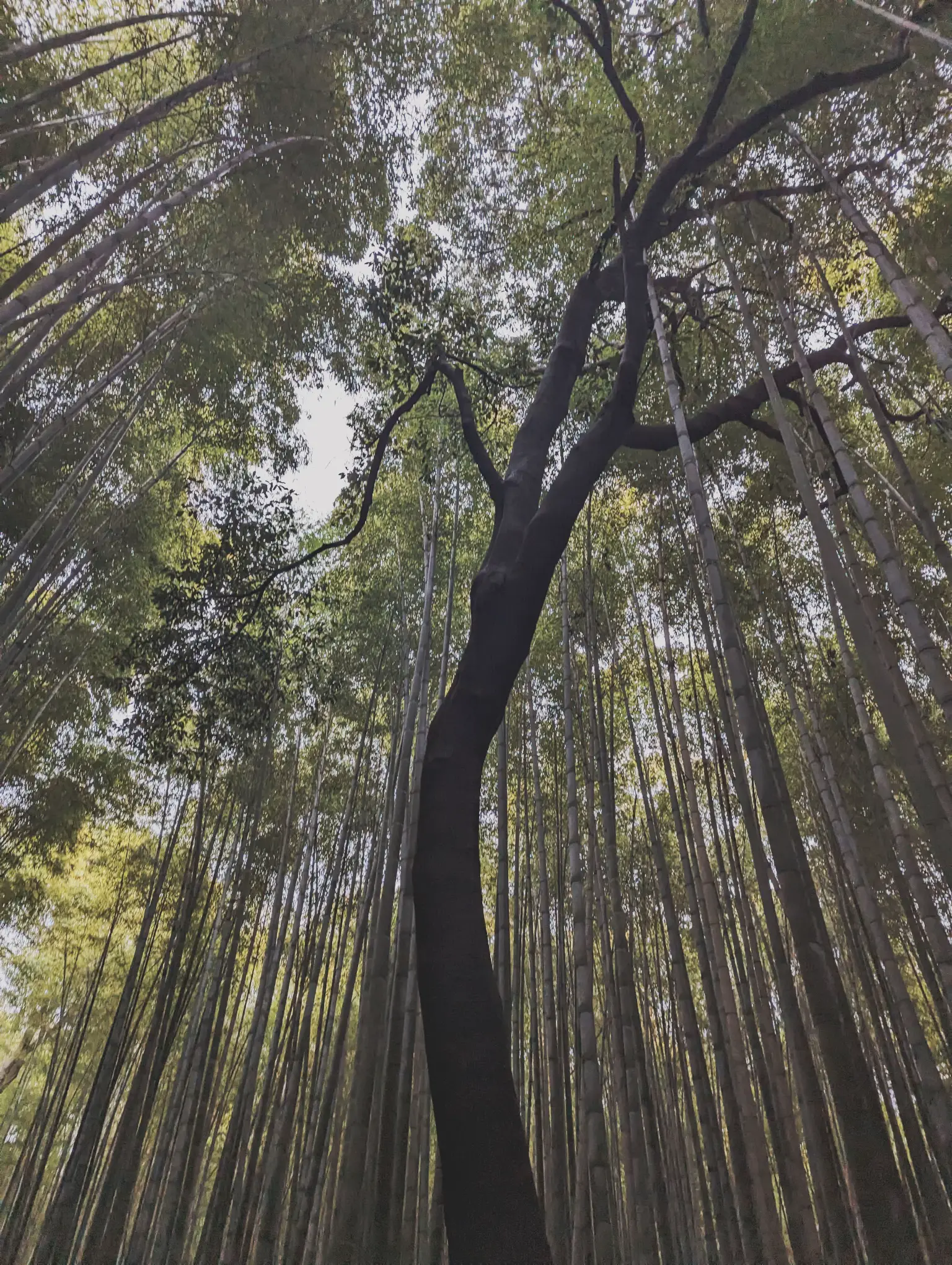 robertocolquiがコンテンツを投稿しました。確認し | BCJ Roberto が投稿したフォトブック | Lemon8