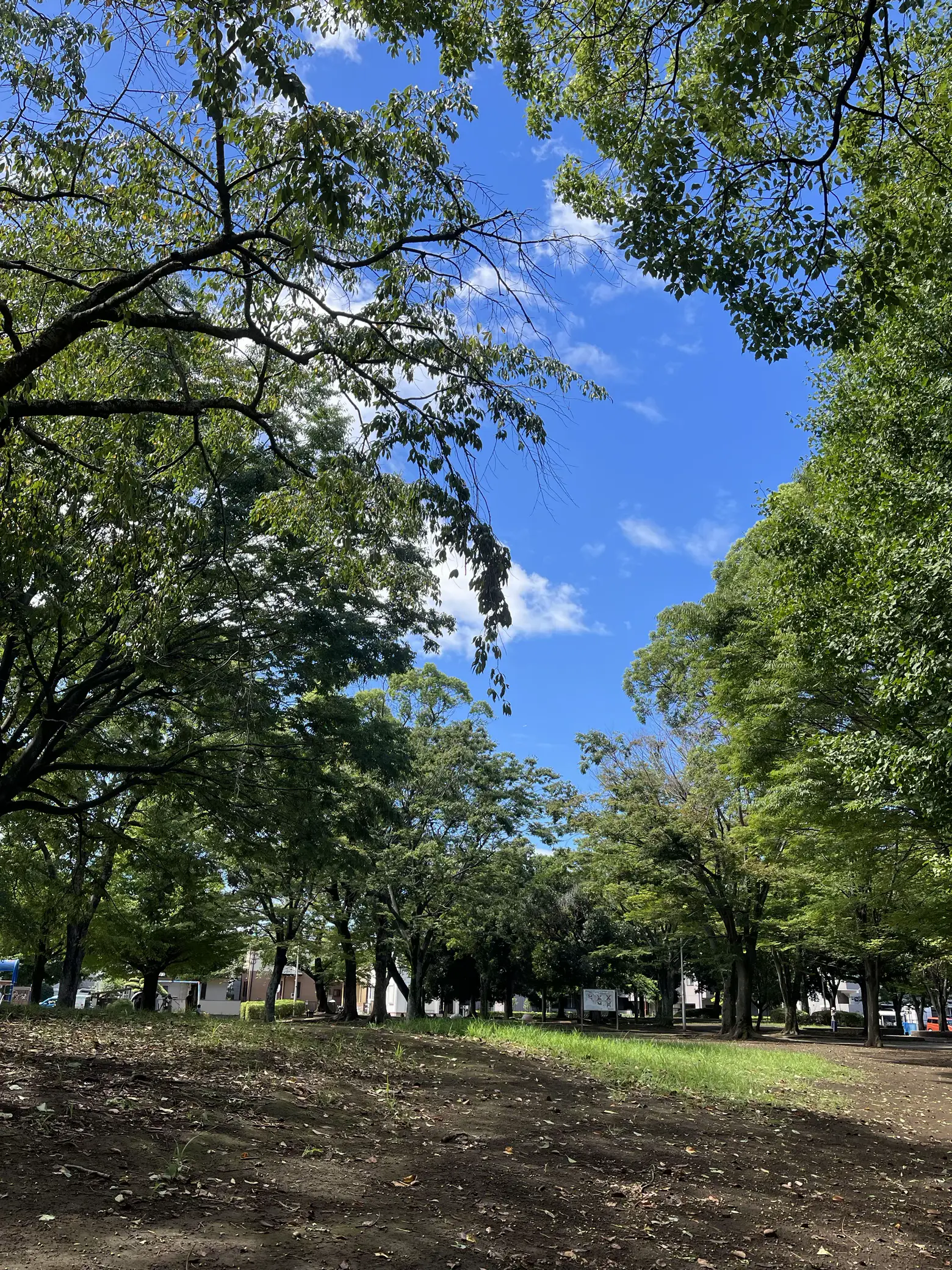 Summer Clicks | Robin Singhが投稿したフォトブック | Lemon8