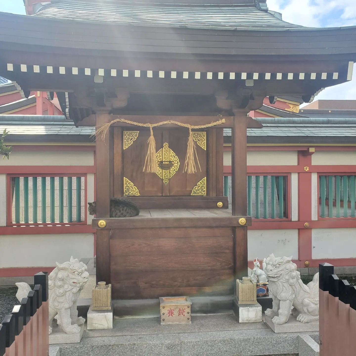 เทพเจ้าแมว | แกลเลอรีที่โพสต์โดย 輝rin | Lemon8