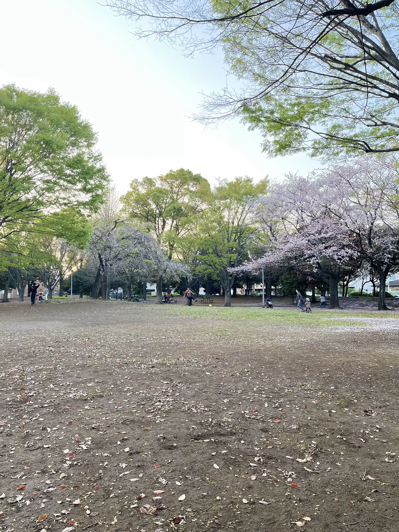 การถ่ายภาพพระอาทิตย์ตก | แกลเลอรีที่โพสต์โดย Robin Singh | Lemon8