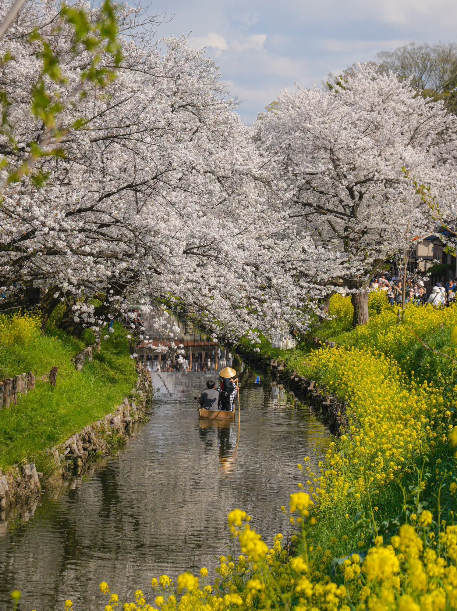 ทัวร์ล่องเรือในจังหวัด Xiaojiang Tsukawa Yuechun🌸🚣‍♂️ | แกลเลอรีที่ ...