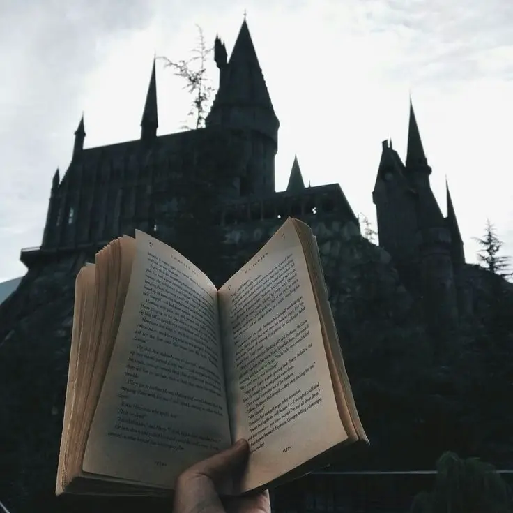 Harry Potter aesthetic🍁 | Gallery posted by Nessa | Lemon8