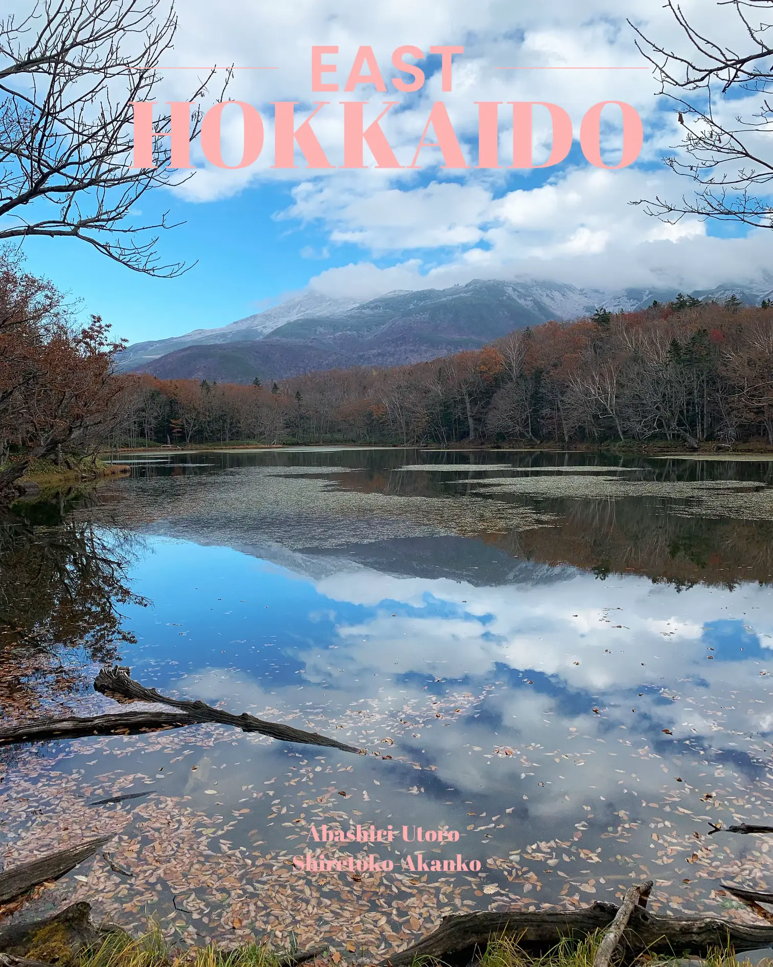 [Hokkaido] Refreshing trip full of nature in Shiretoko Peninsula, a world heritage site you want ...