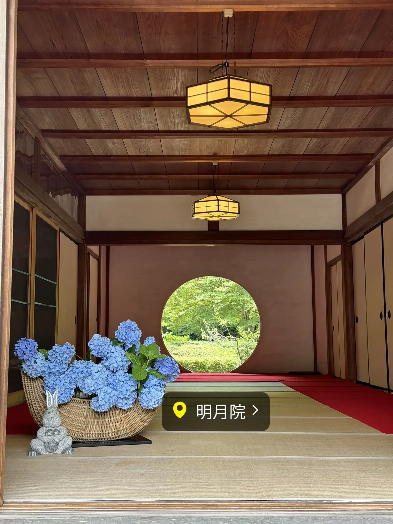 วันนี้ดูเฮกตาร์! 2024 Mingyue Courtyard Ziyang Flower Department ดู ...