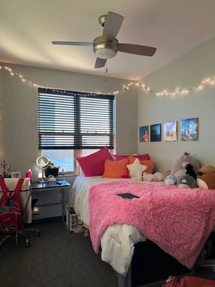 20 top Dorm Room Inspo ideas in 2024