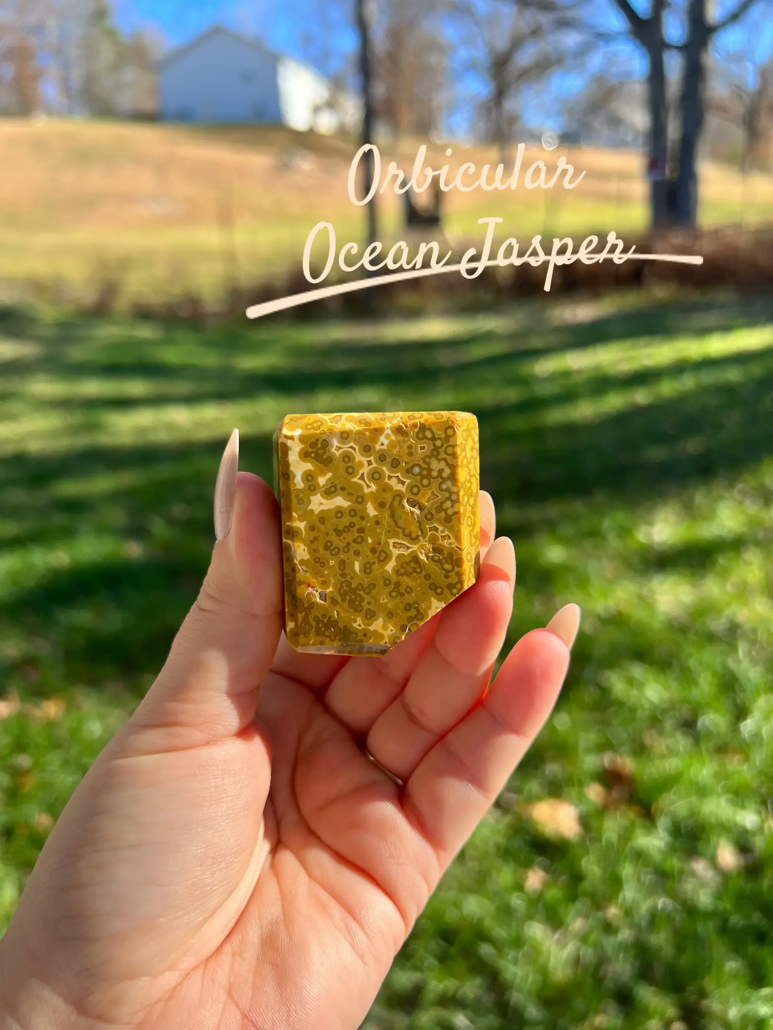 Orbicular Ocean Jasper | Gallery posted by MoongladeMins | Lemon8