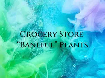 Grocery Store “Baneful” Plants | Gallery posted by ThatLazyWitch | Lemon8