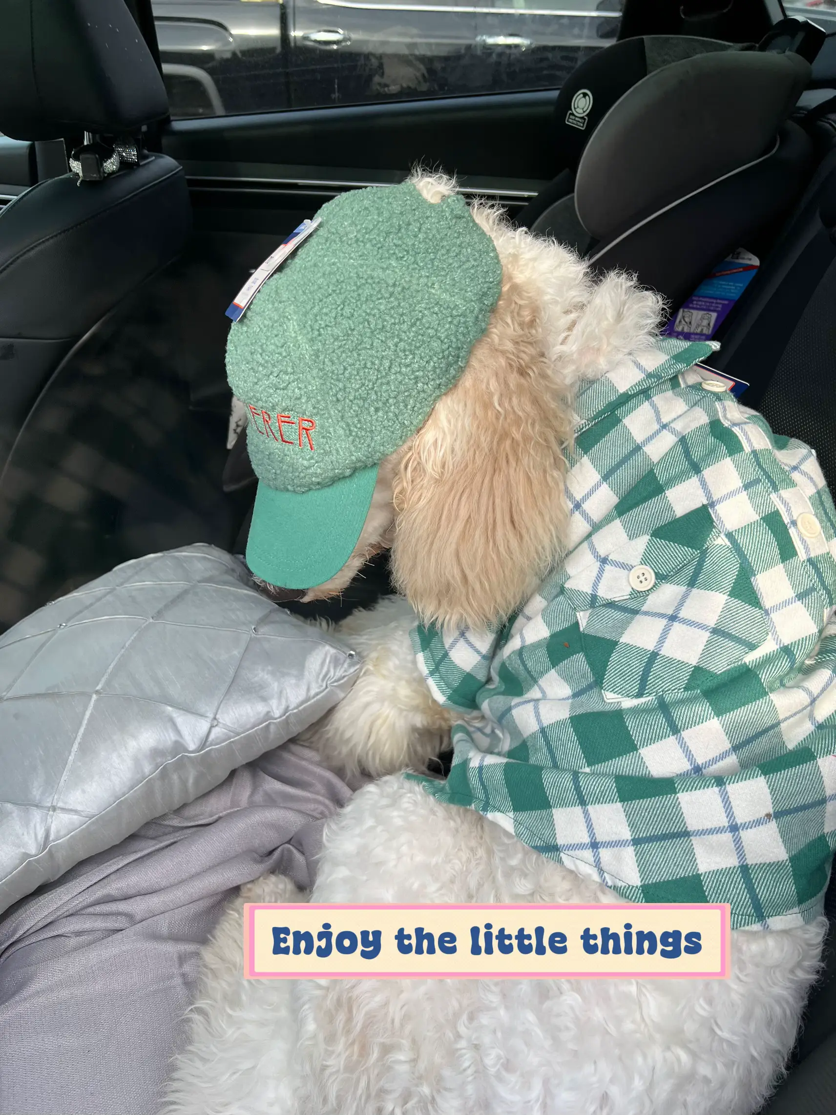 Cutie Kim - Lemon8 Search