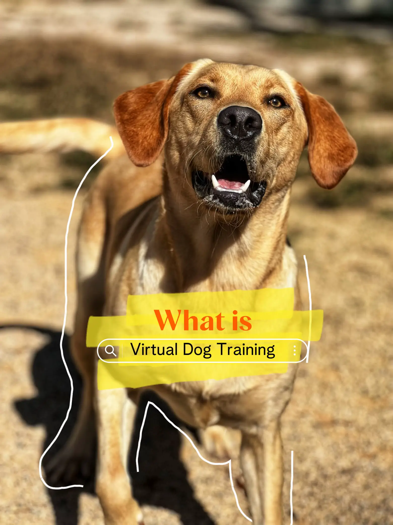 Virtual Dog Training | Gallery posted by Seer K9 | Lemon8