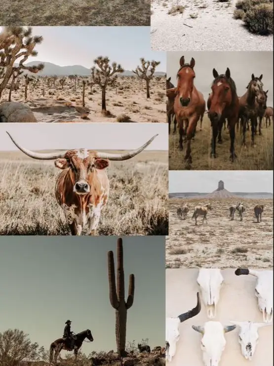Here’s some western wallpapers I like | Gallery posted by Hadlie ...