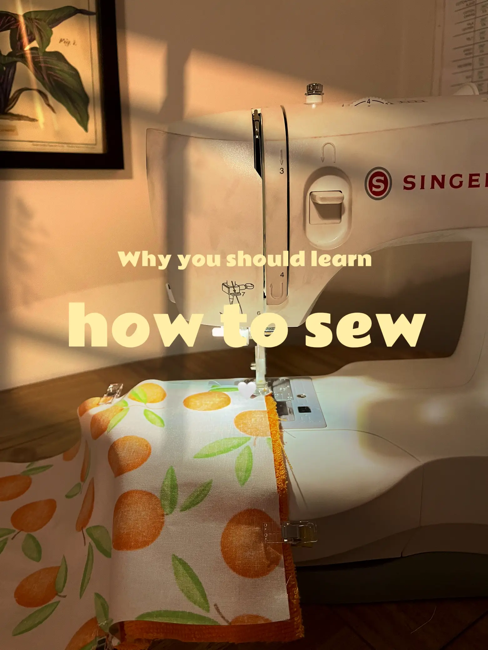 Why you should learn to sew🧵🪡 | Gallery posted by Shaylee | Lemon8