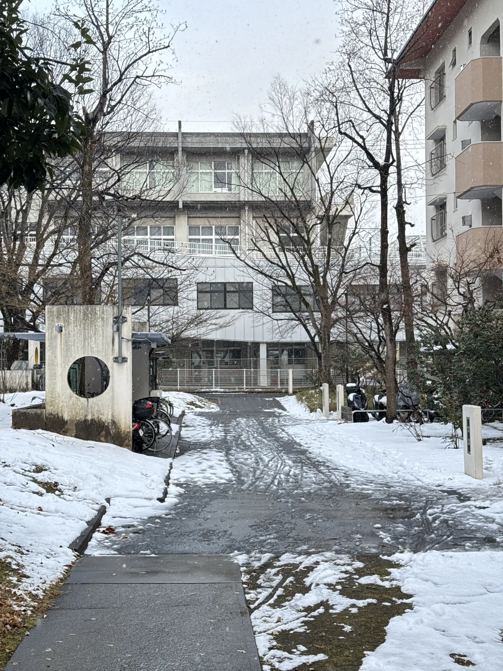 Hello 2025! First winter this year. ️ | This is JONAが投稿したフォトブック | Lemon8