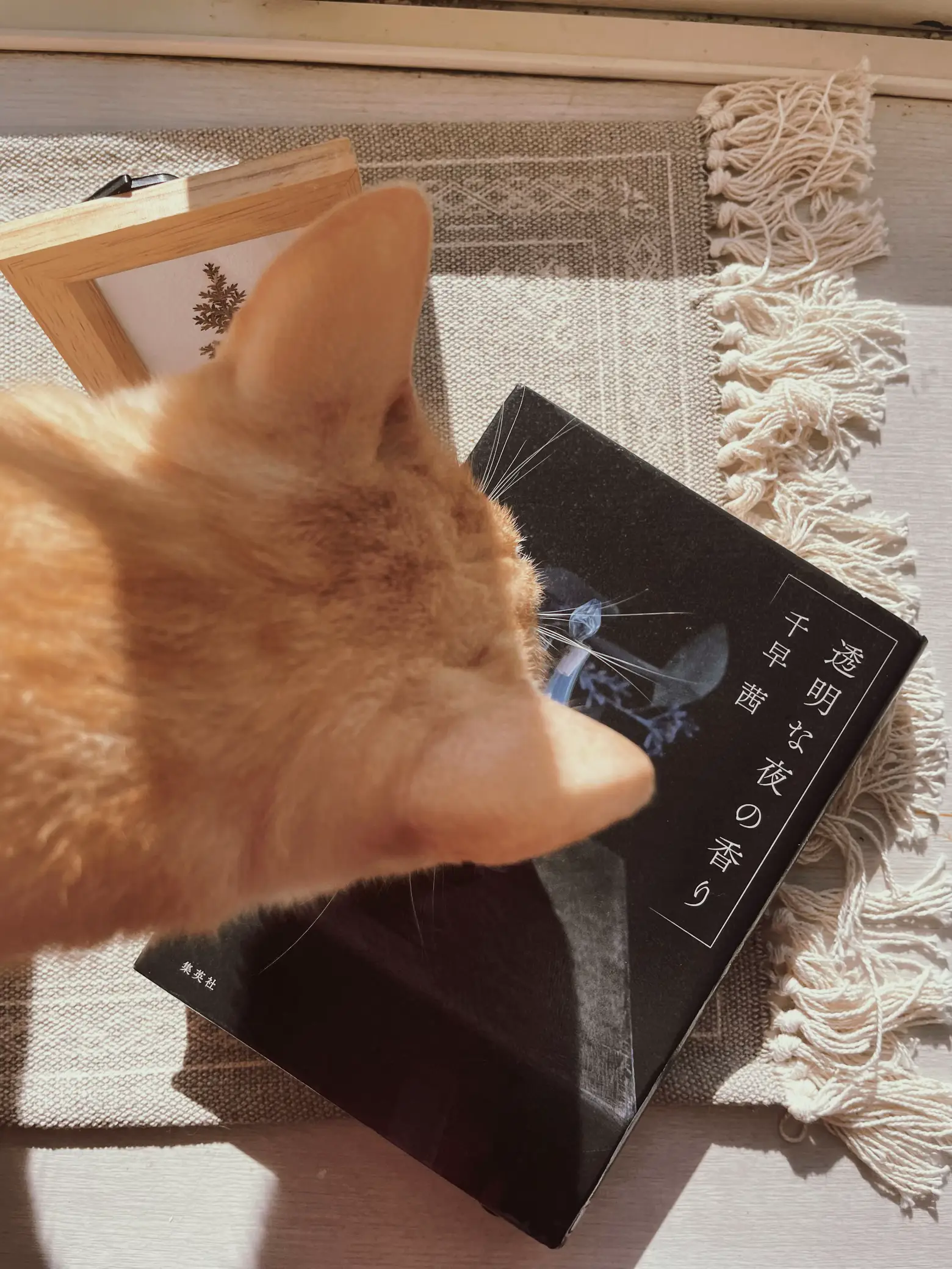 The lie is. | Gallery posted by 𝙷𝚊𝚛𝚞𝚌𝚊 | Lemon8