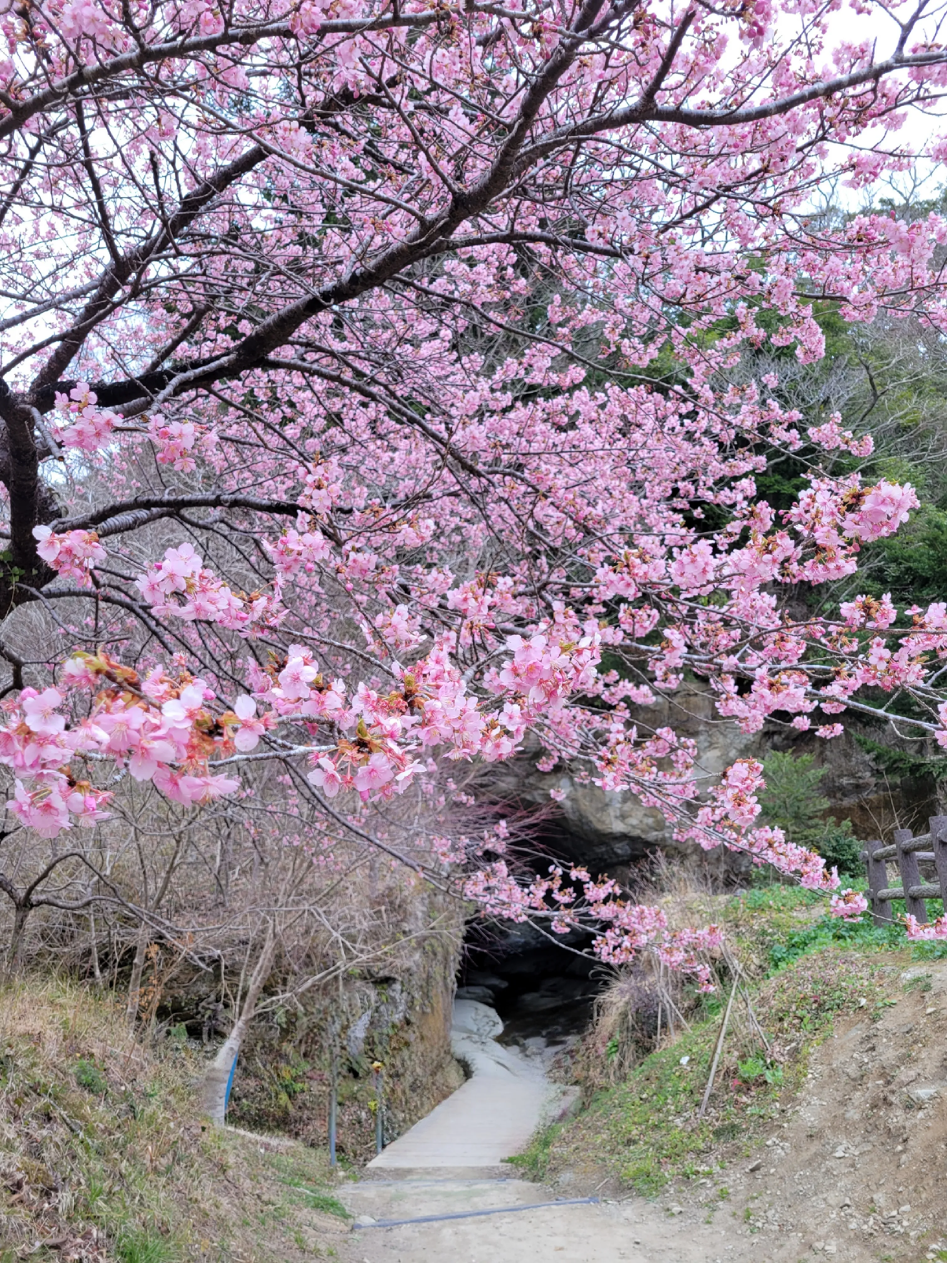 น้ำตก Toomi ที่สถานีถนน😊 | แกลเลอรีที่โพสต์โดย katsu | Lemon8