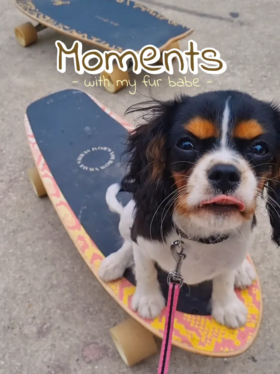 Running towards me💫That's the best thing in life💕 | Video published by ...