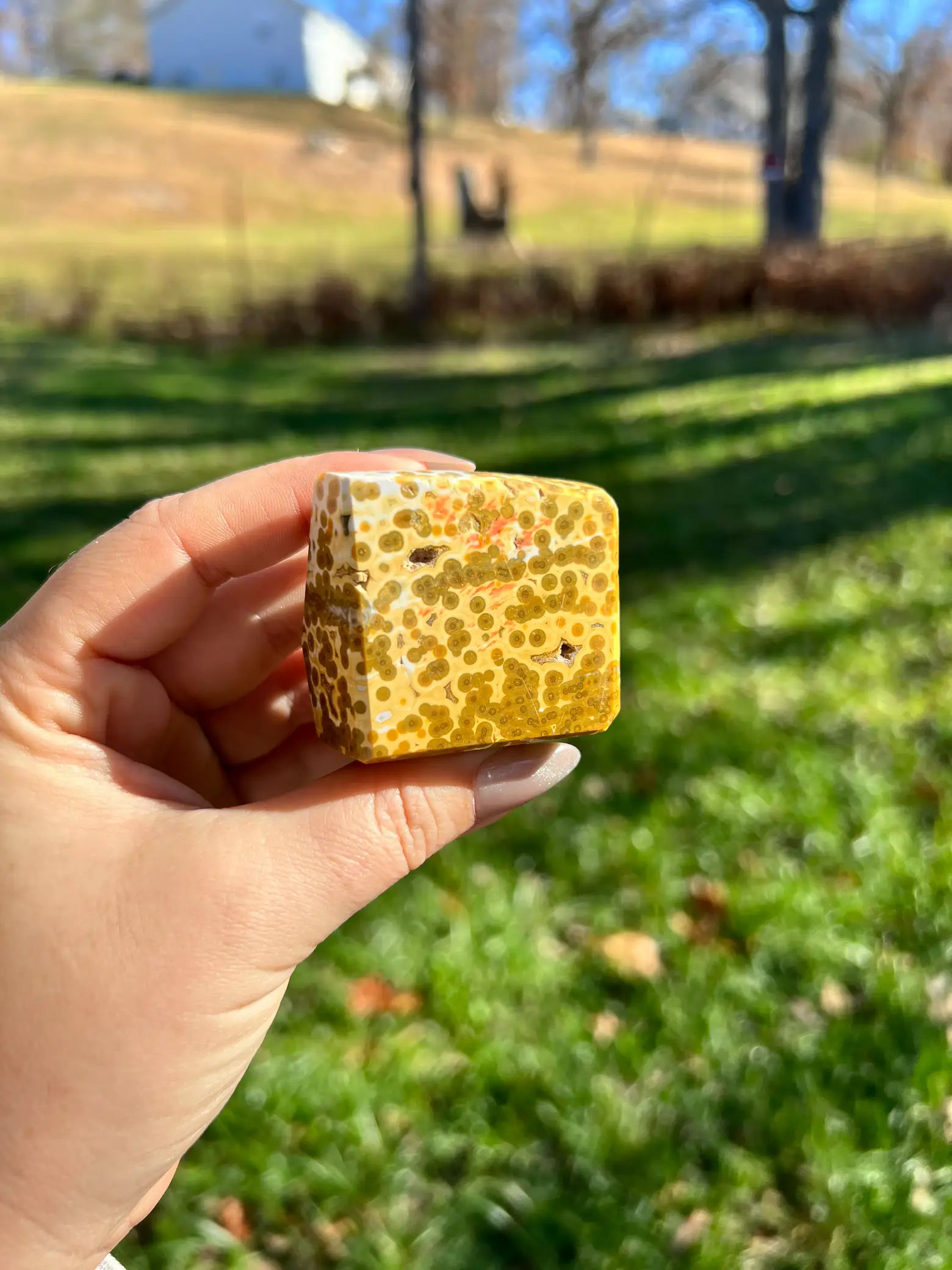 Orbicular Ocean Jasper | Gallery posted by MoongladeMins | Lemon8