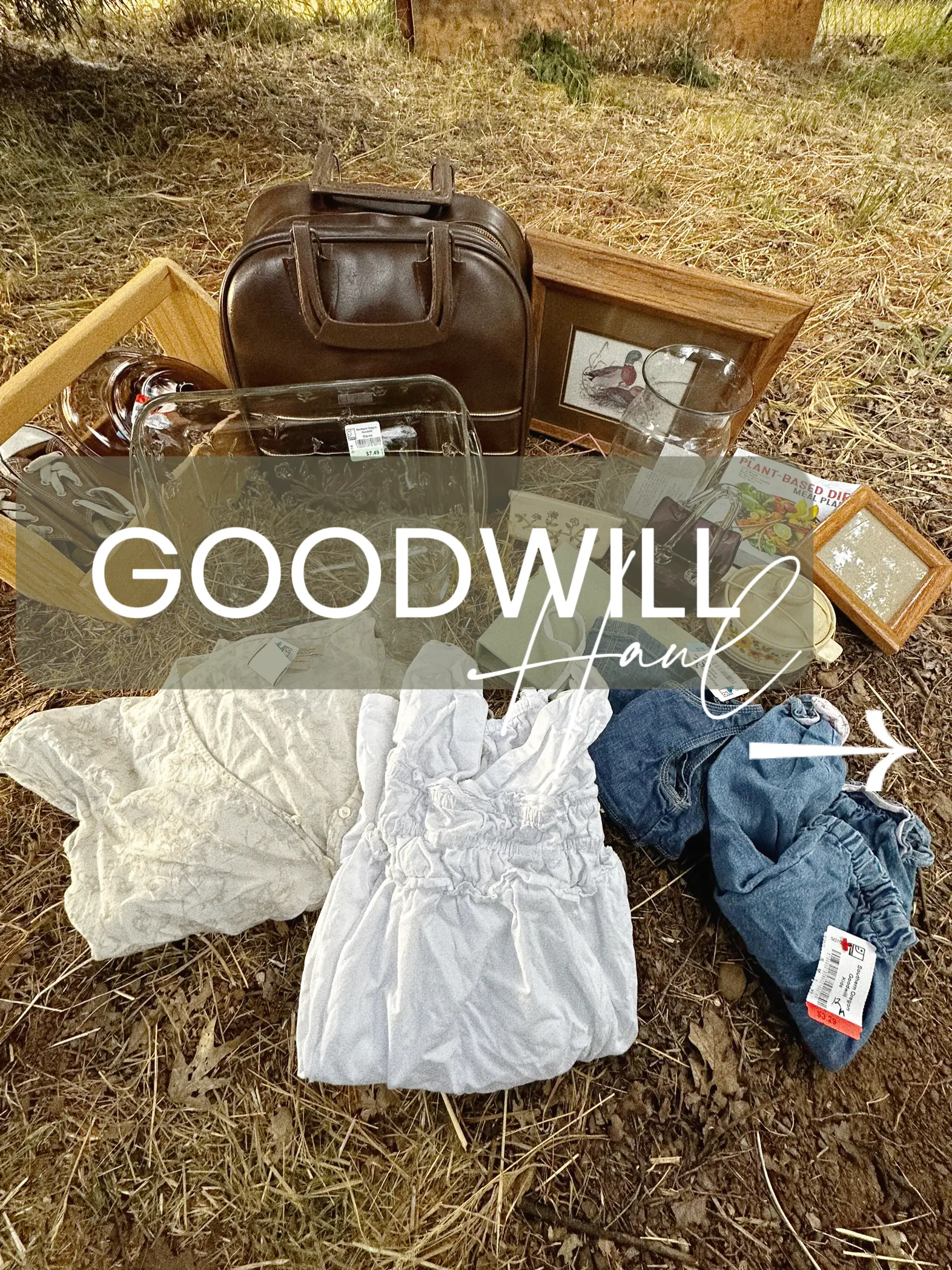 GOODWILL HAUL📔🌼🍓 | Gallery posted by Hailey | Lemon8