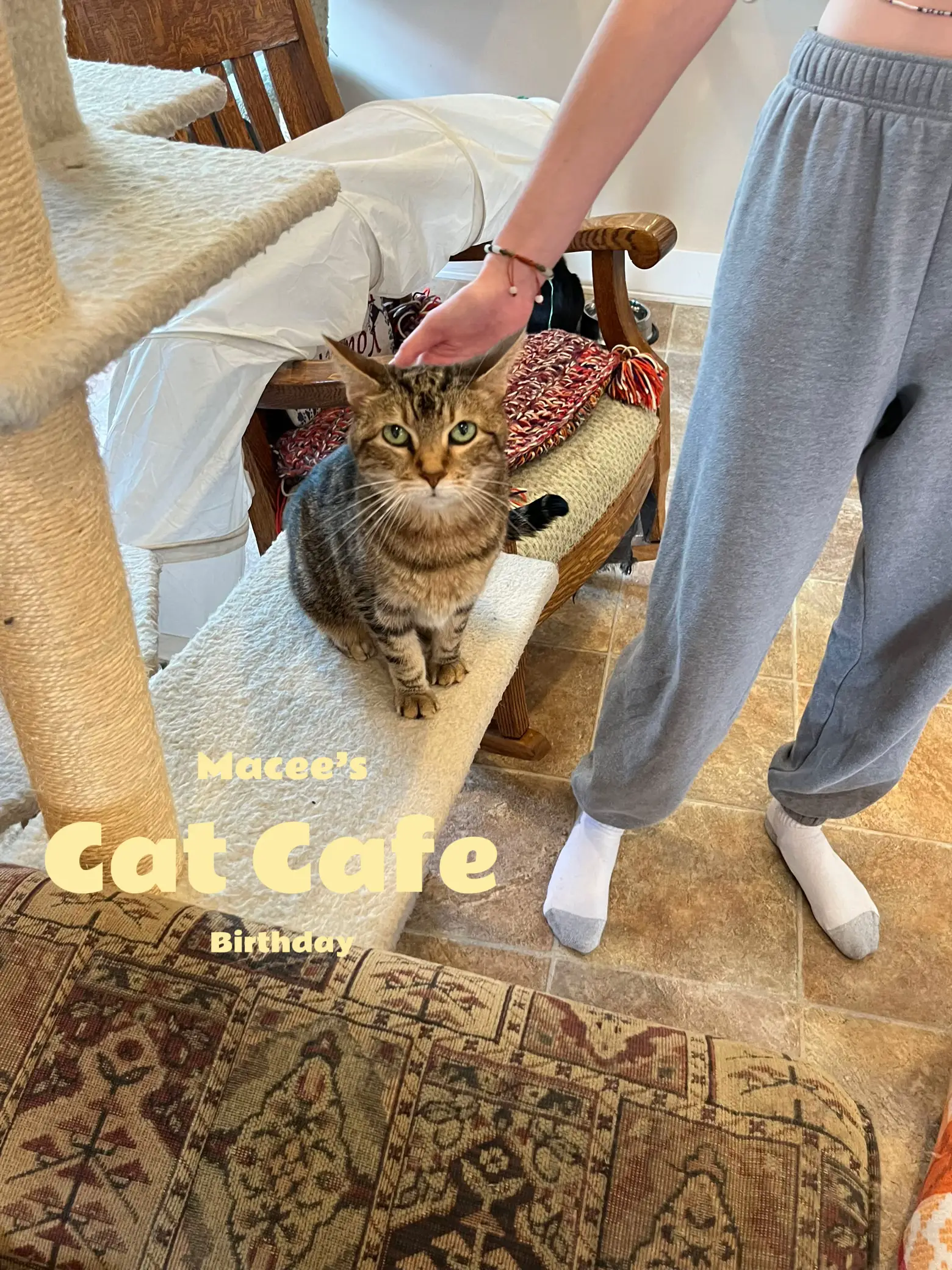 Macee’s | Gallery posted by miadnay | Lemon8