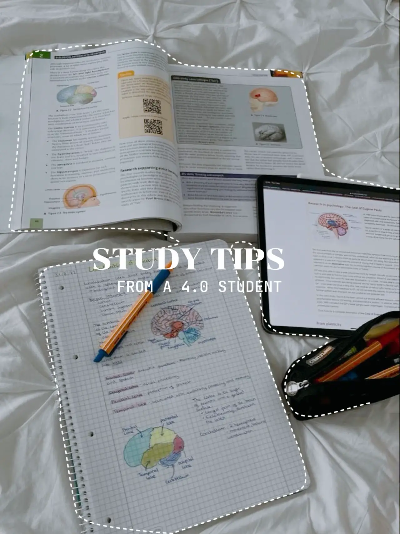 STUDY TIPS - from a 4.0 student | Gallery posted by A D D I E 🤍 | Lemon8