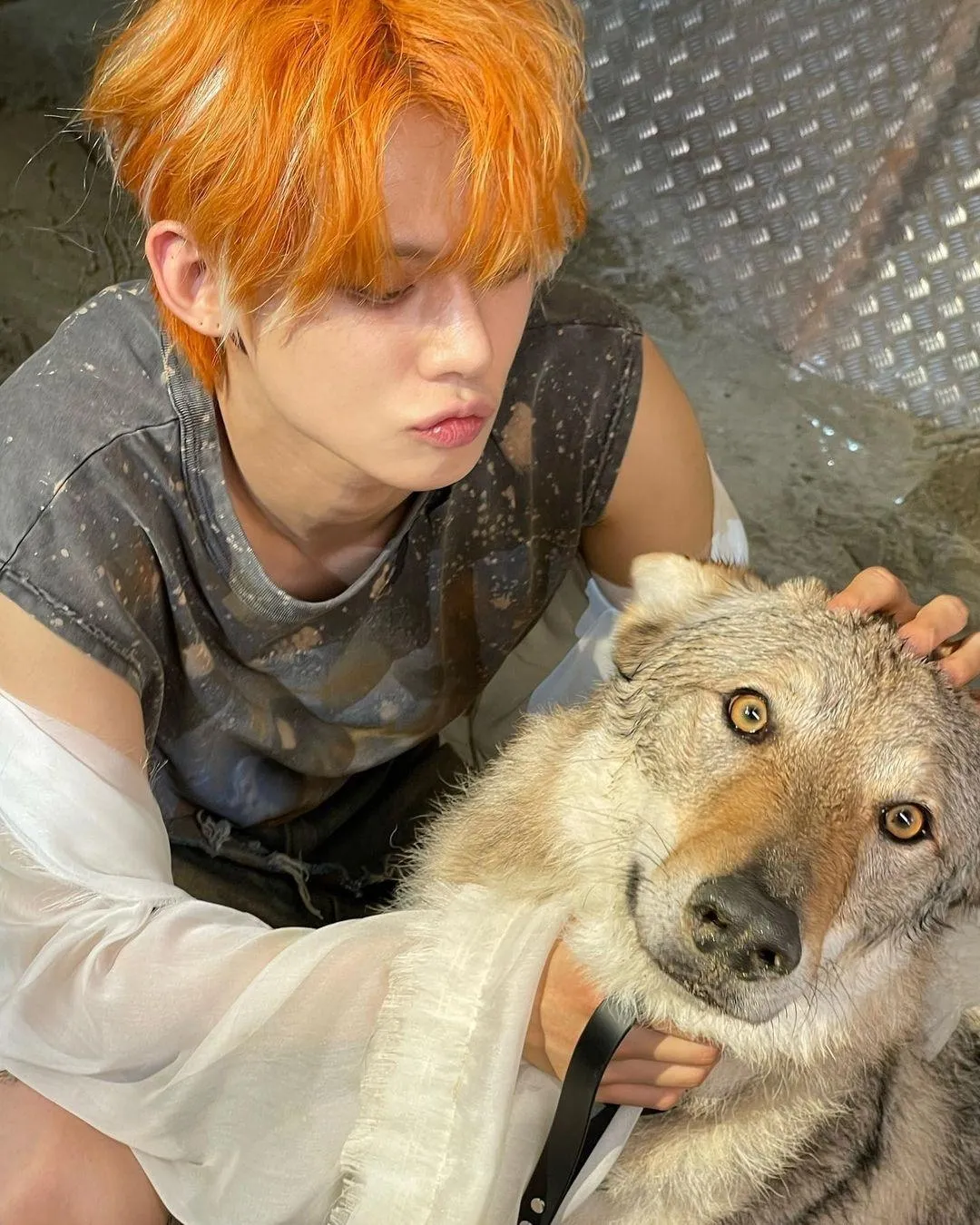 ちょっと待て？ | 𝓜𝓐𝓞 🎀🩰 ️が投稿したフォトブック | Lemon8