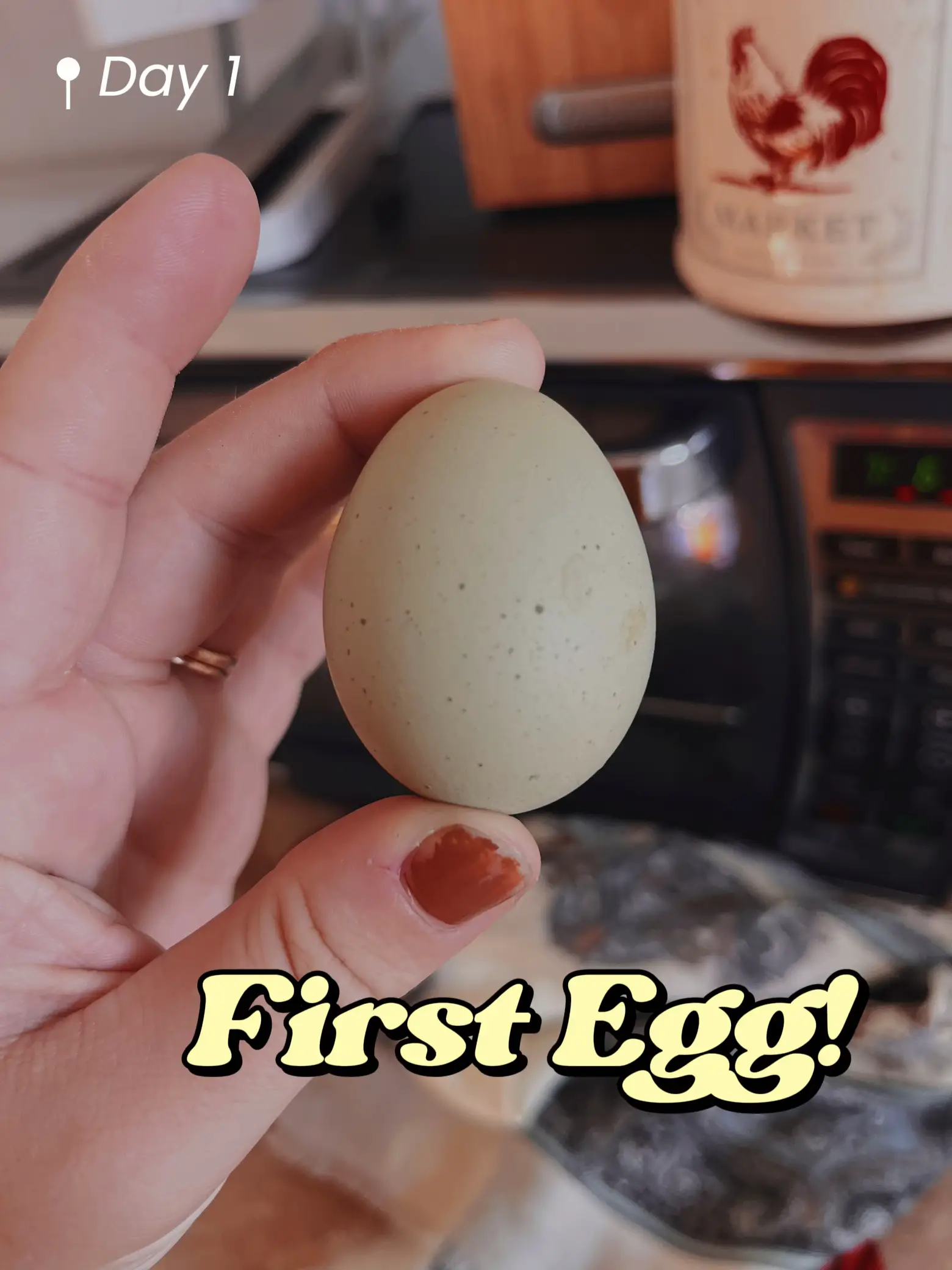 First Egg! | Gallery posted by Ariel Rodgers | Lemon8