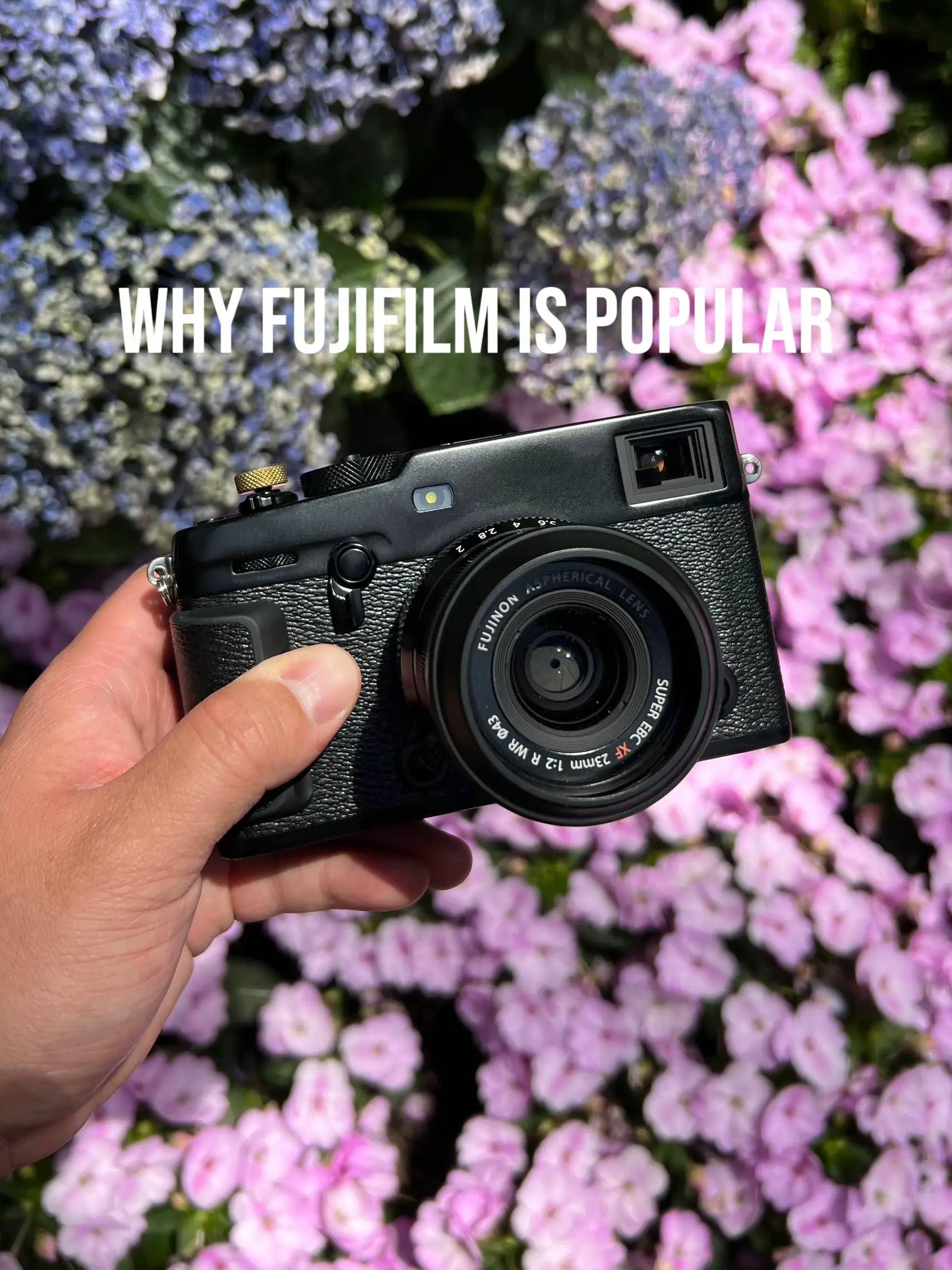 Why fujifilm simulations are popular | Gallery posted by Kyler Steele ...