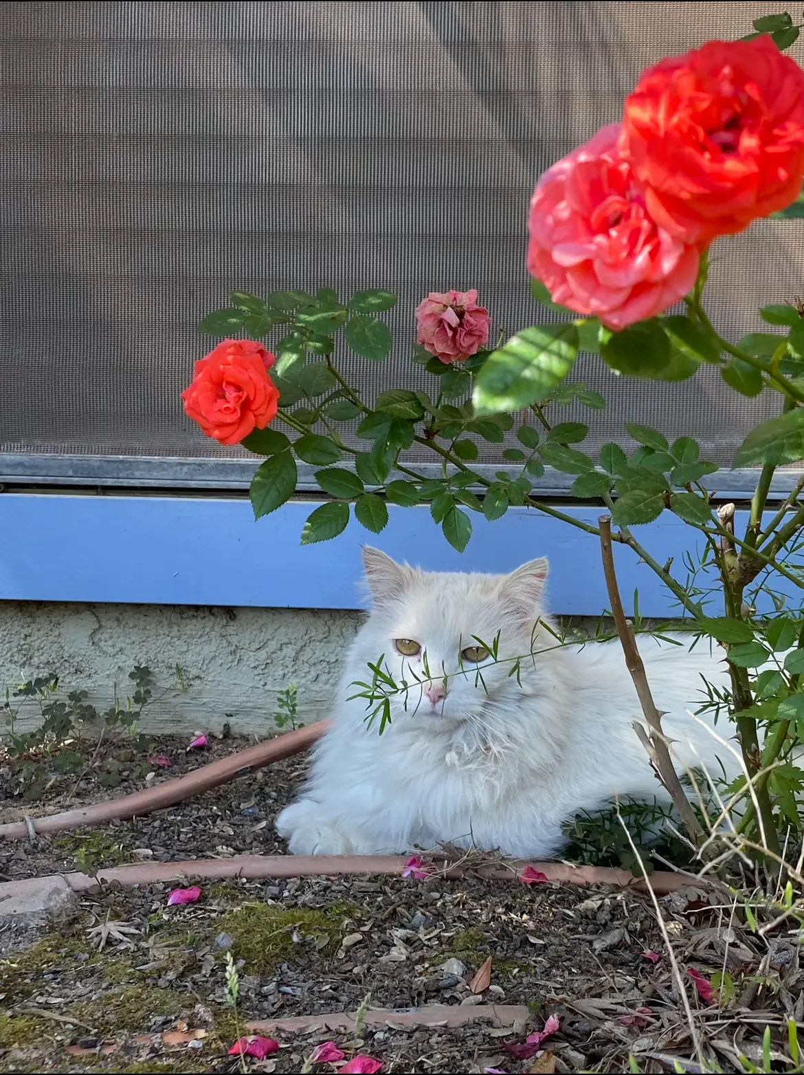 MY 2023 PHOTO DUMP | Gallery posted by Mia | Lemon8