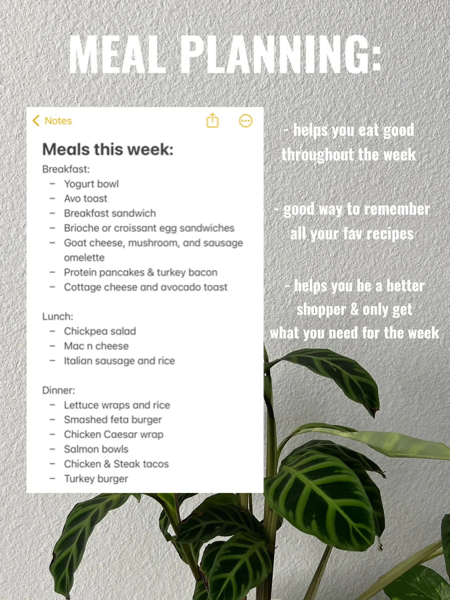 HOW TO USE NOTES APP FOR PRODUCTIVITY Gallery Posted By