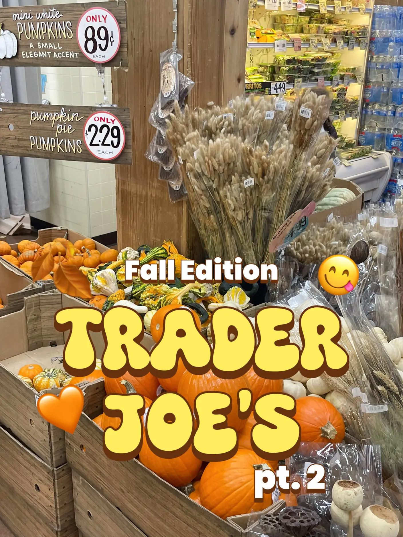 Fall Finds at Trader Joe’s (pt. 2)! 🍁🎃🍎 | Gallery posted by miss foodie | Lemon8