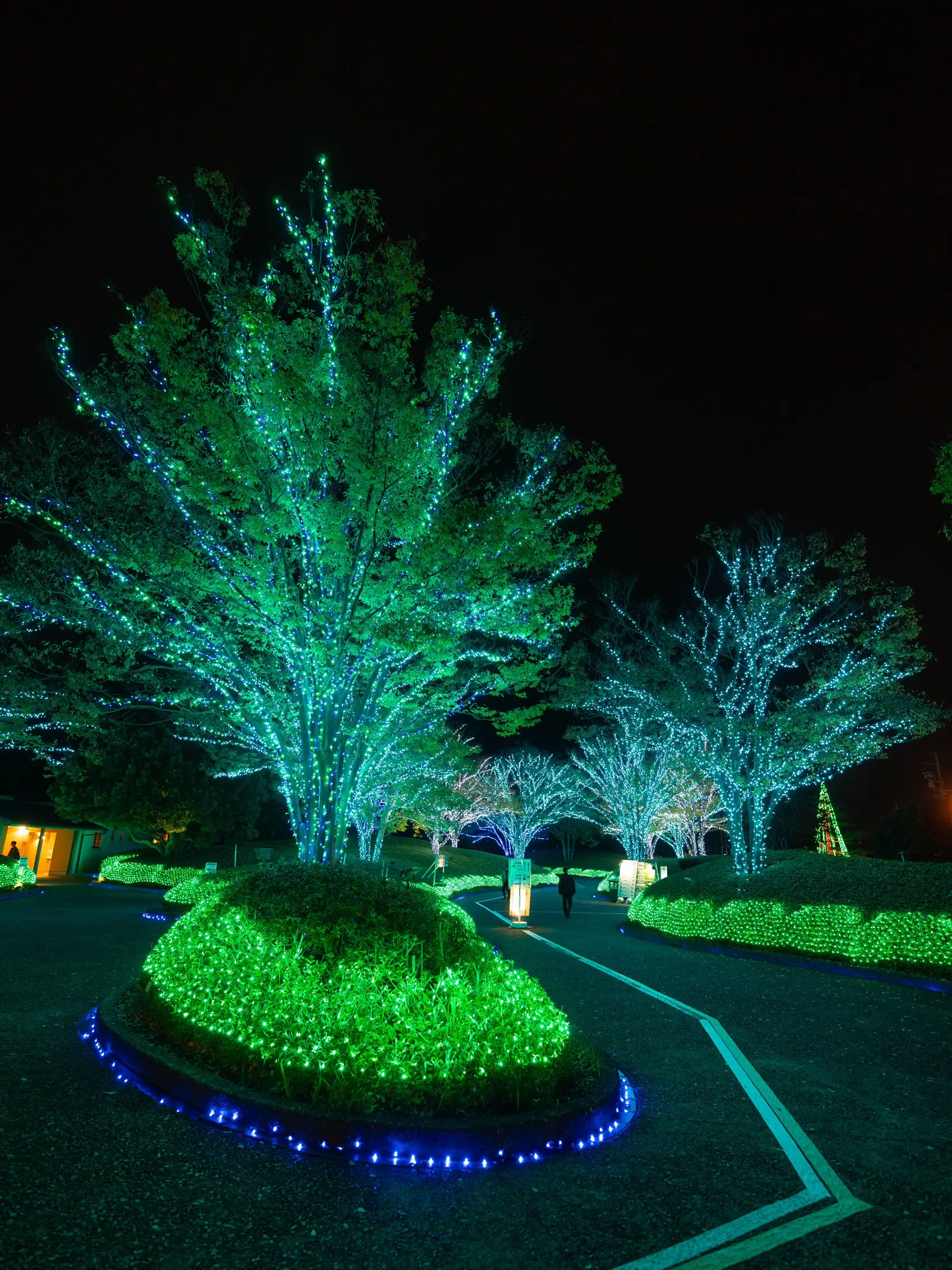 国内最大級のイルミネーション㊗️なばなの里イルミネーション2023「黄金のピラミッド」開催中 | YUU ️絶景1人旅🚗が投稿したフォトブック | Lemon8