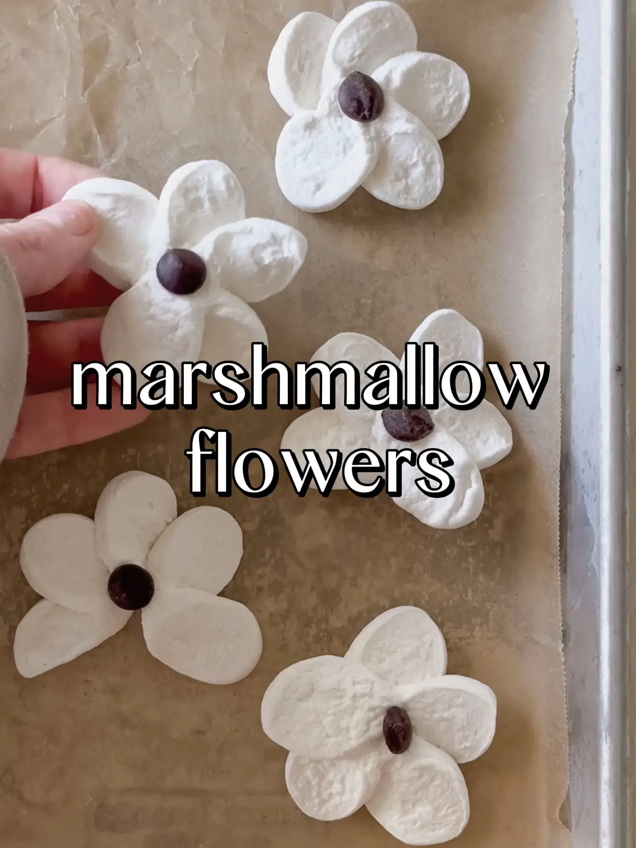 marshmallow flowers | Video published by katie lopynski | Lemon8