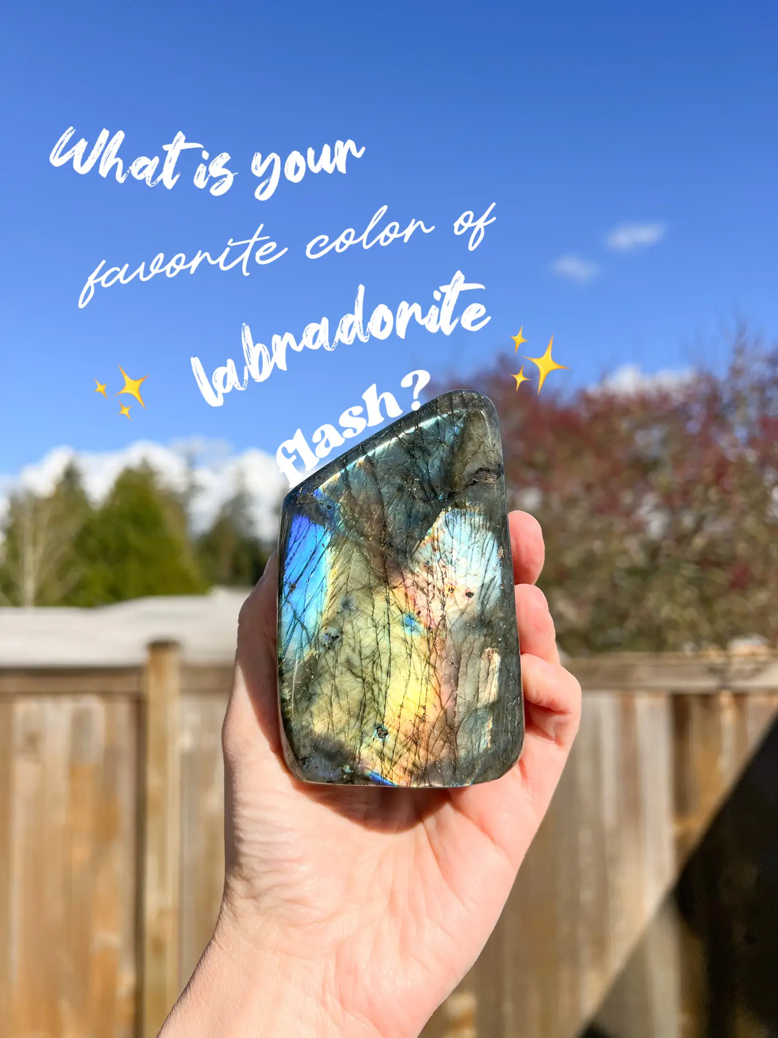 What’s your favorite flash color? | แกลเลอรีที่โพสต์โดย crystalswired ...