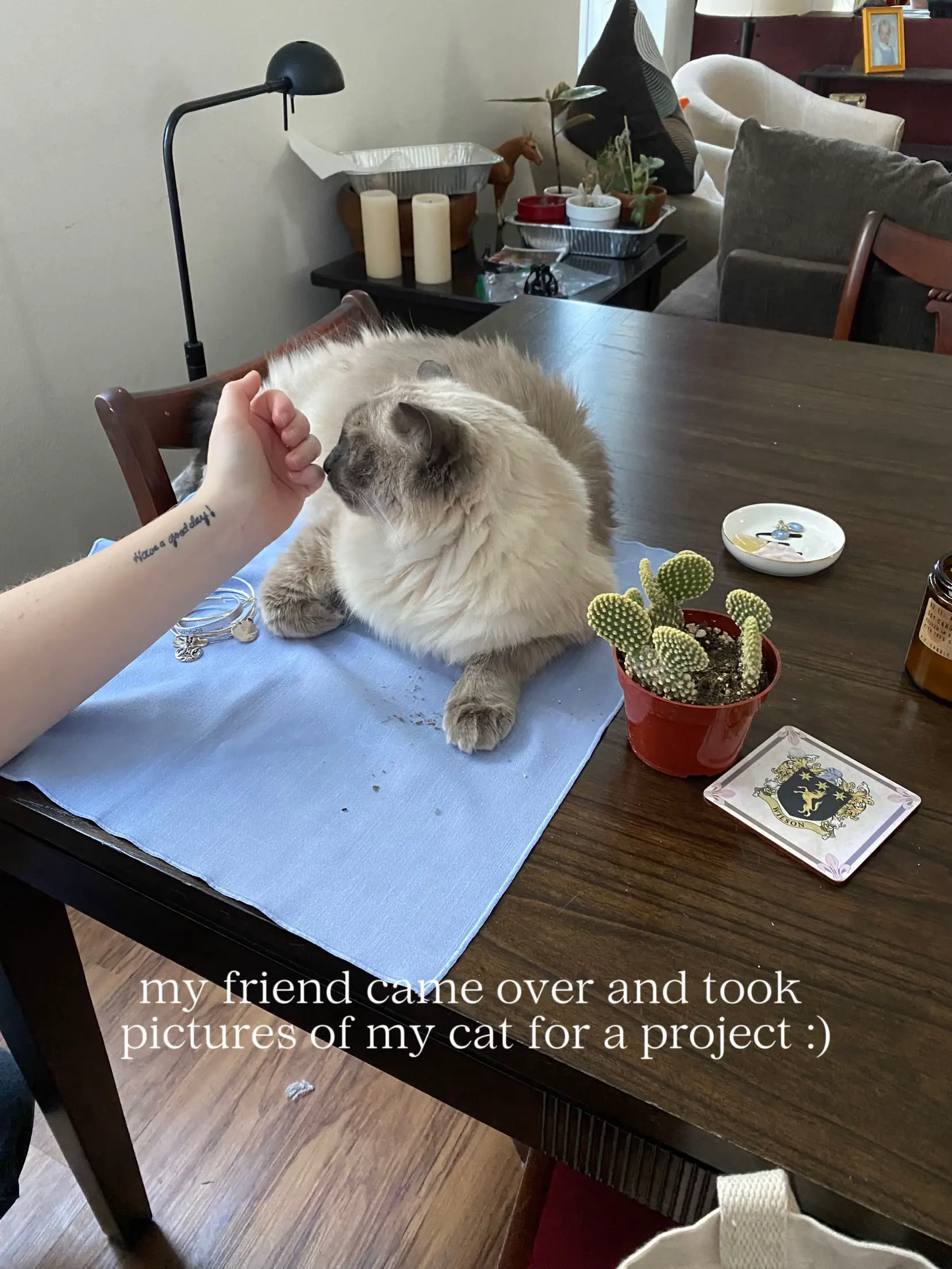 DAY IN THE LIFE😚 | Gallery posted by maeve wilson | Lemon8