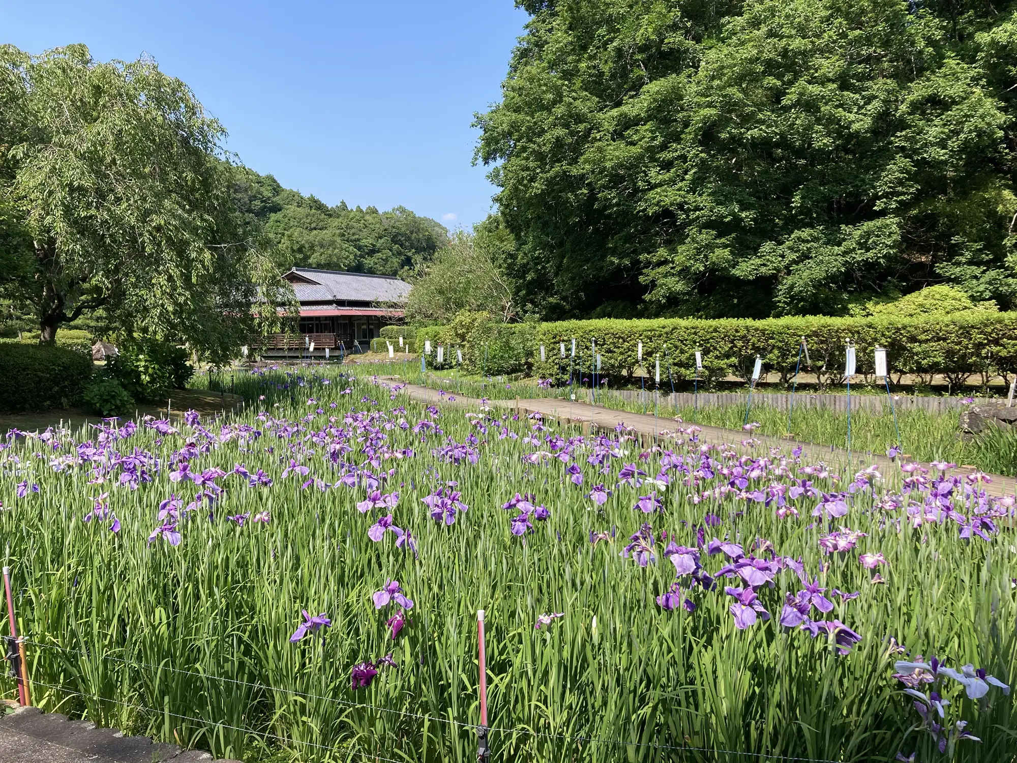 Changlu Ota Taoyuan จังหวัด calamus | แกลเลอรีที่โพสต์โดย s.maru | Lemon8